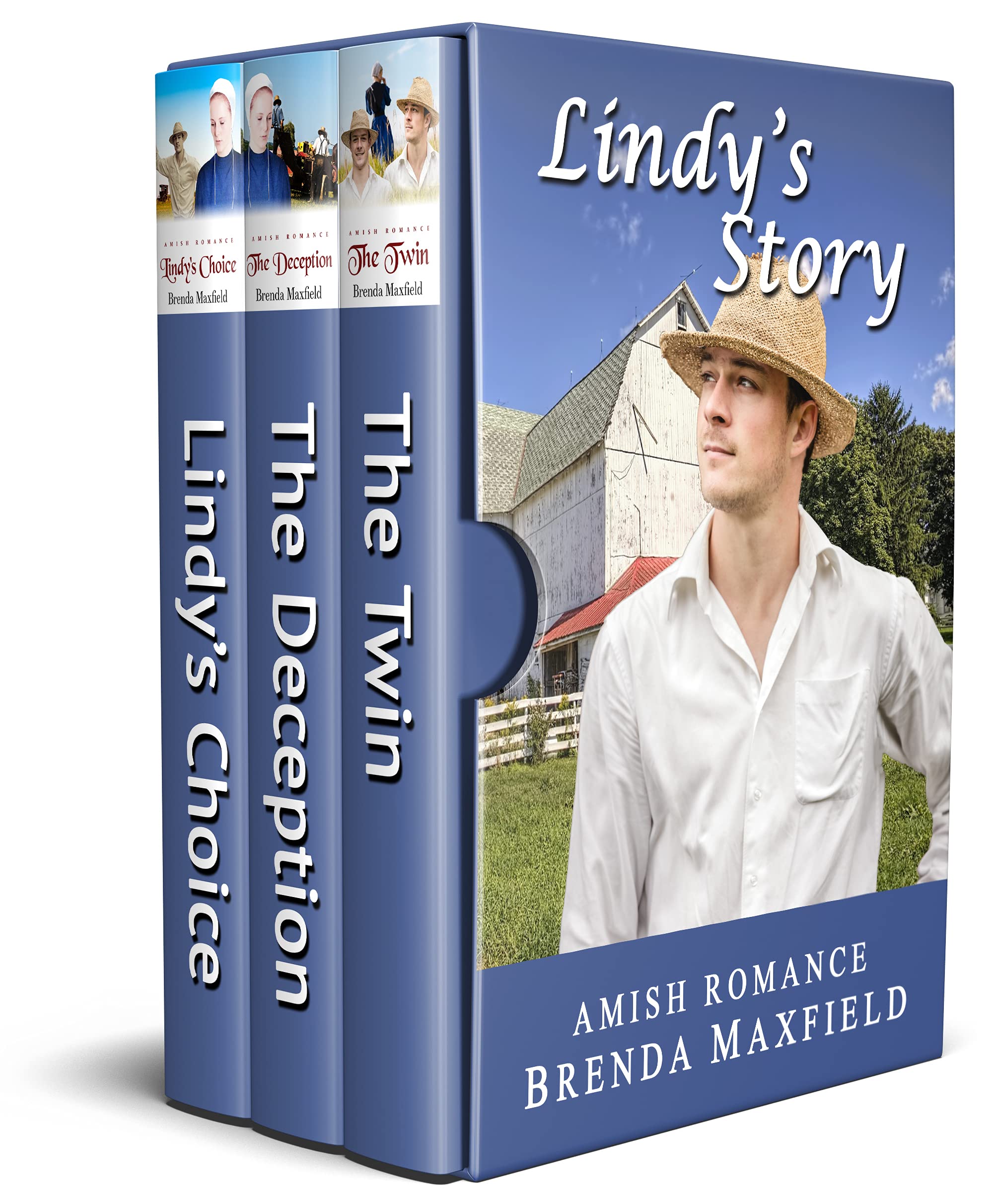 Lindy's Story by Brenda Maxfield | Goodreads