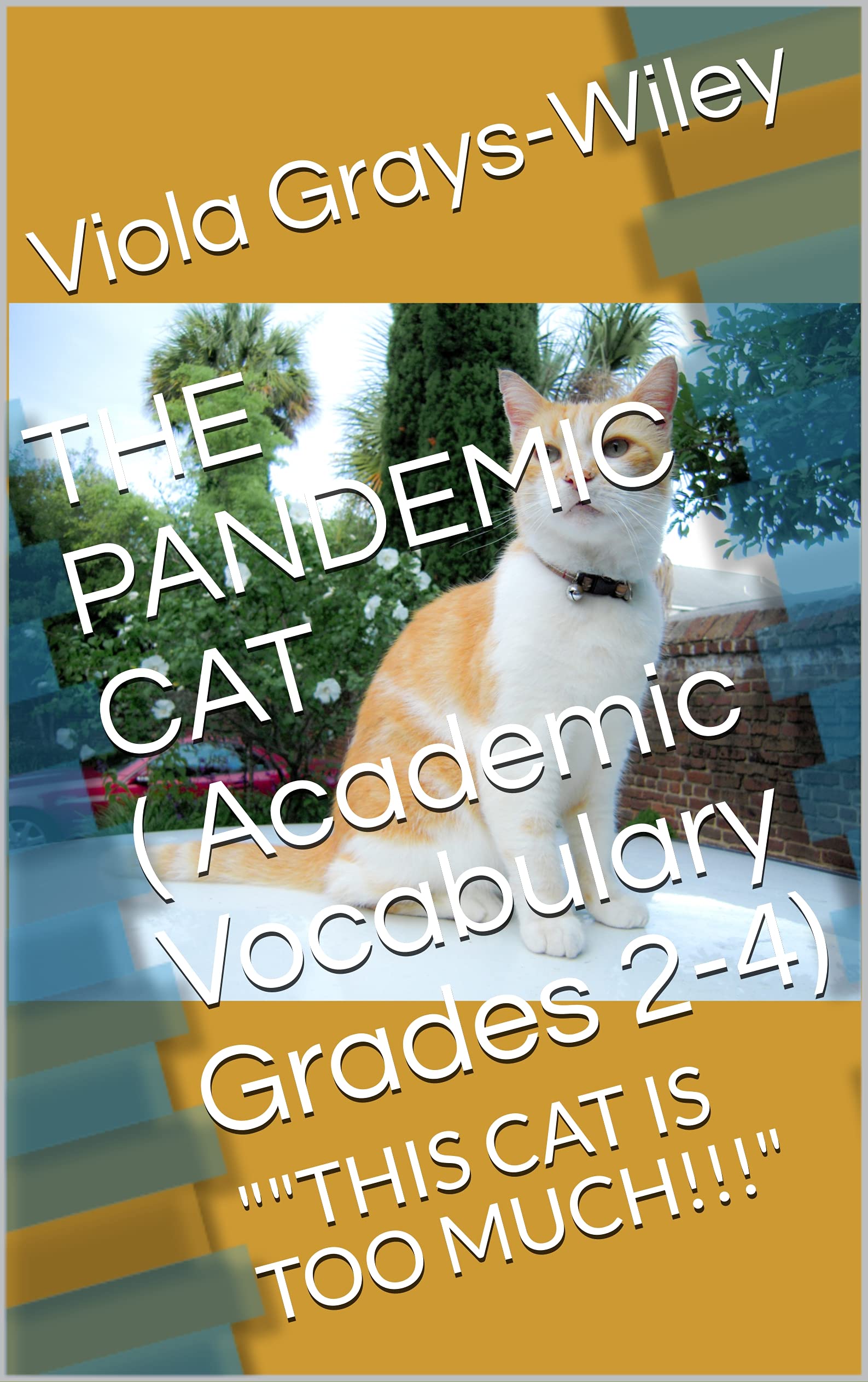 THE PANDEMIC CAT ( Academic Vocabulary Grades 2-4): ""THIS CAT IS TOO ...