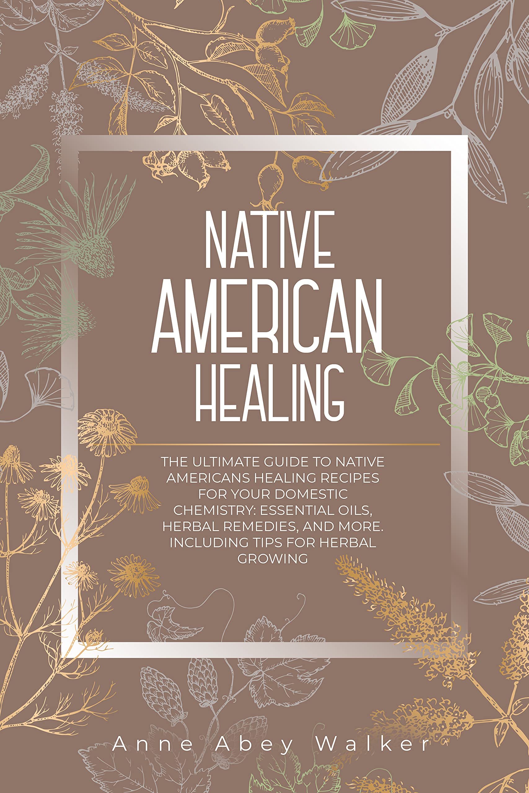 Native American Healing: The Ultimate Guide To Native Americans Healing ...