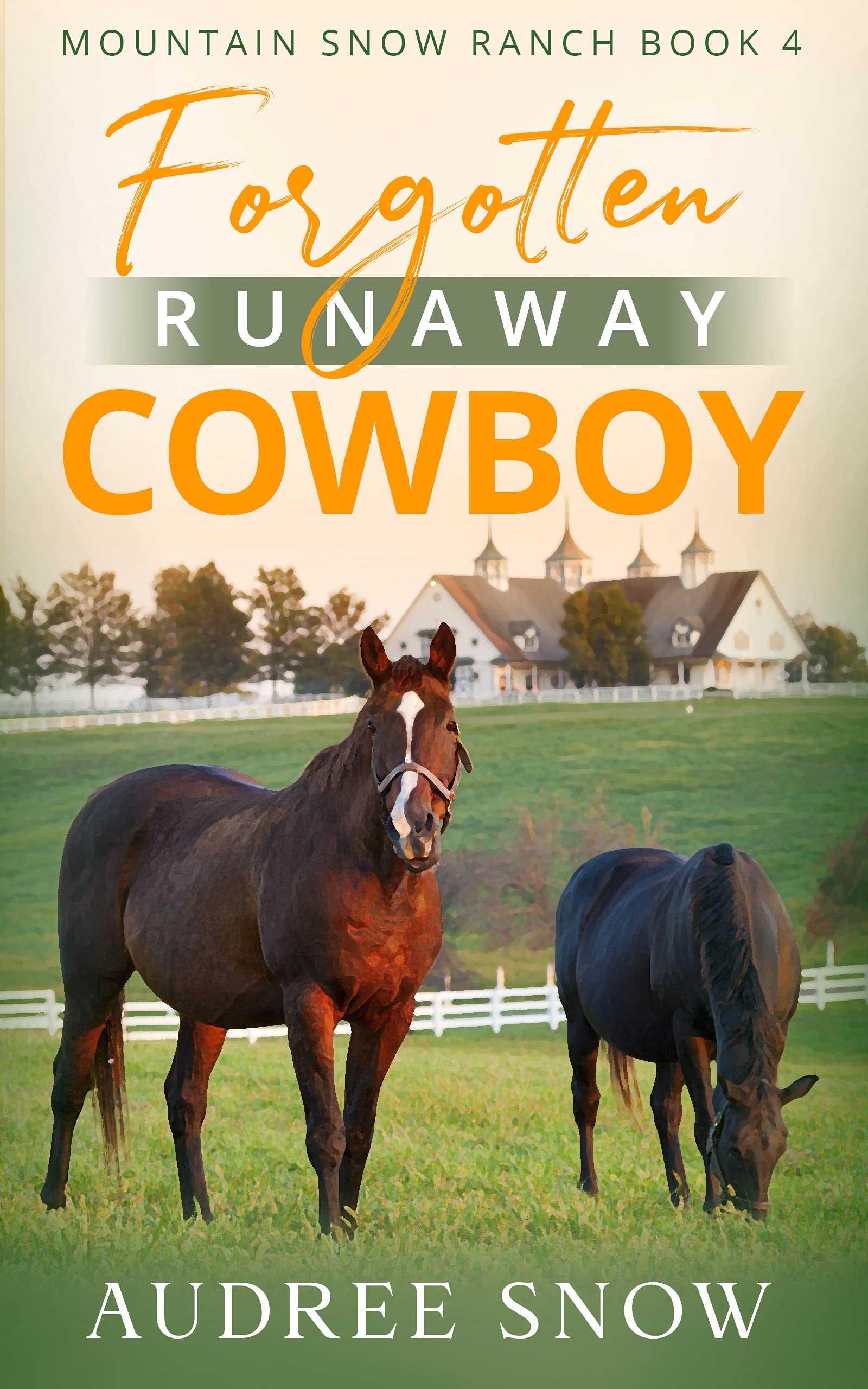 Forgotten Runaway Cowboy, Book 4 by Audree Snow | Goodreads