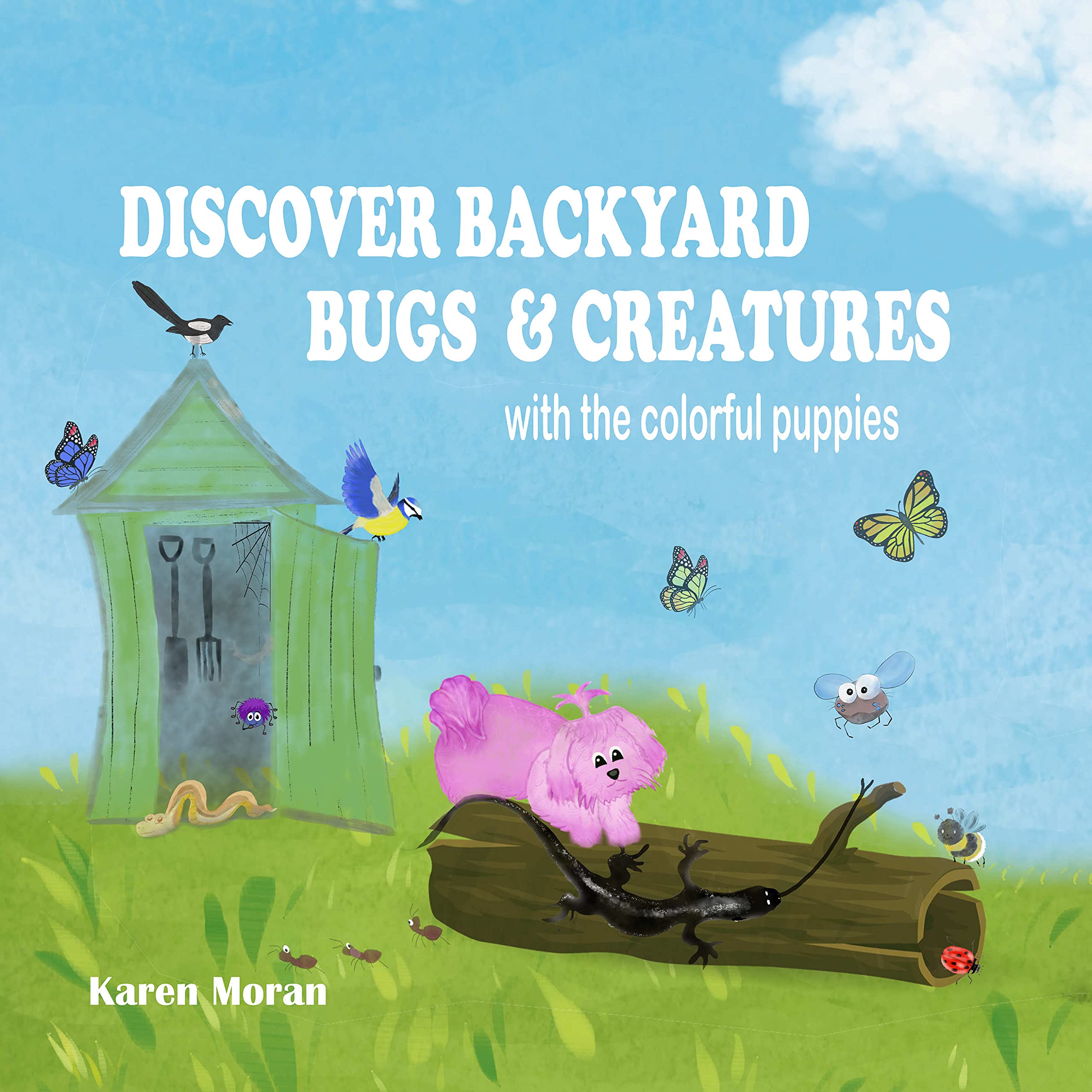 Discover Backyard Bugs & Creatures: Children will learn colors and can ...