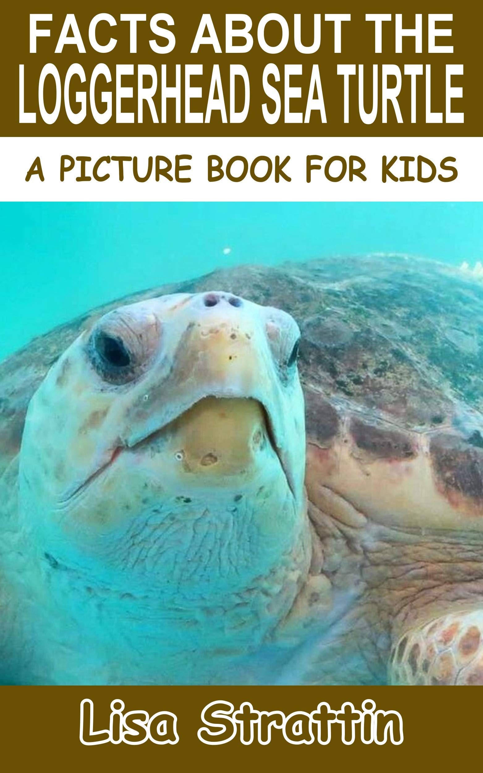 Facts About Loggerhead Sea Turtle by Lisa Strattin | Goodreads