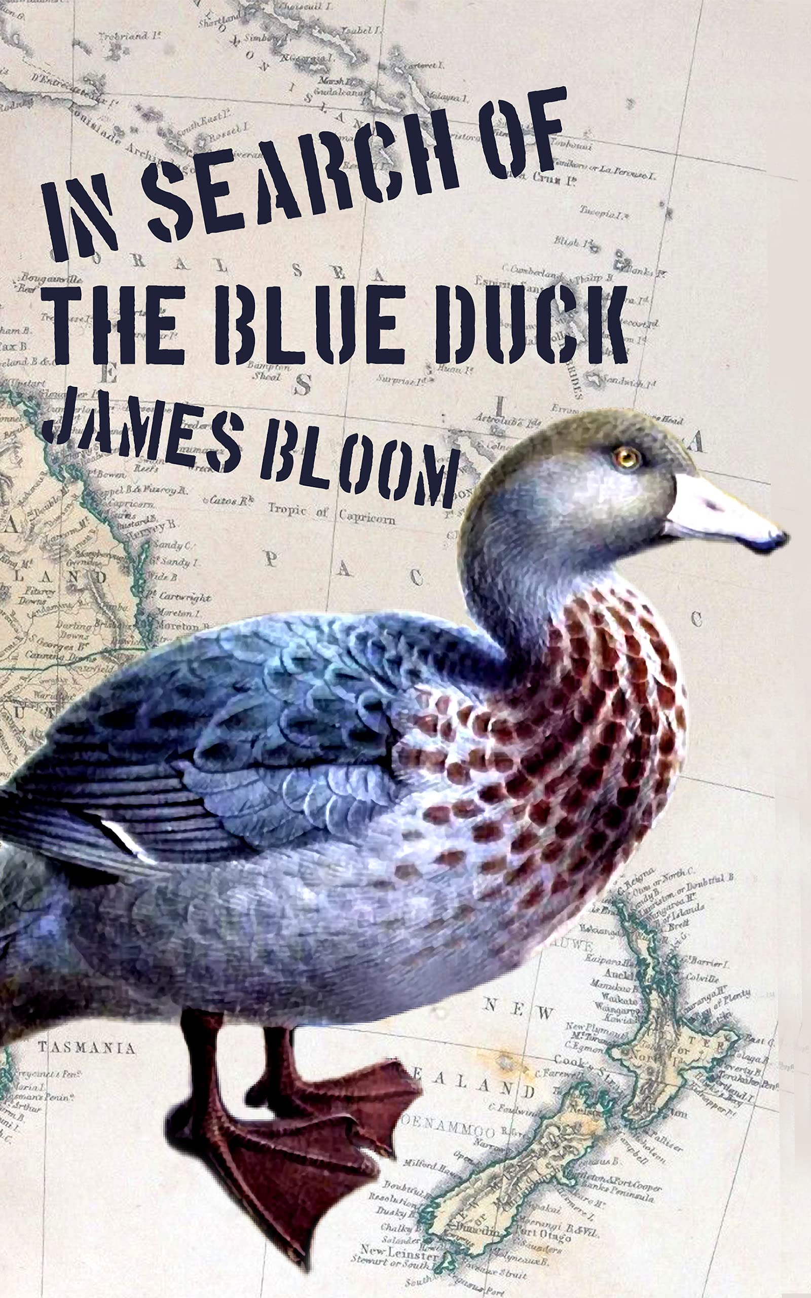In Search of the Blue Duck: A Novelistic Memoir of Rough Travel and ...