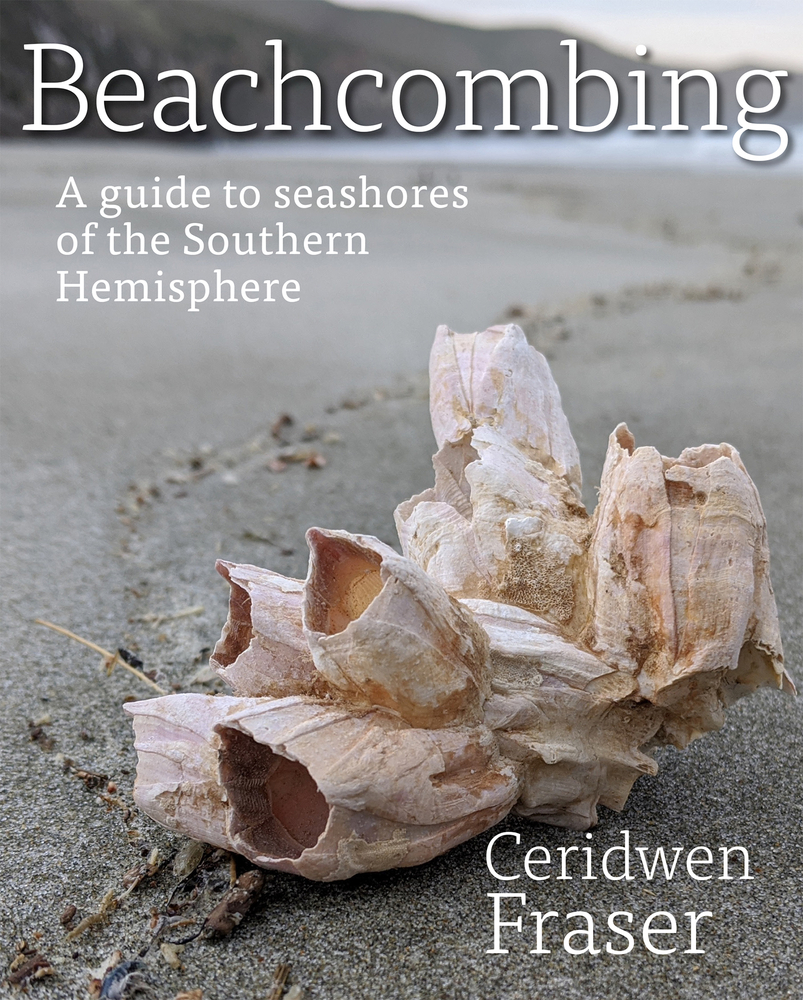 Beachcombing: A guide to seashores of the Southern Hemisphere by ...