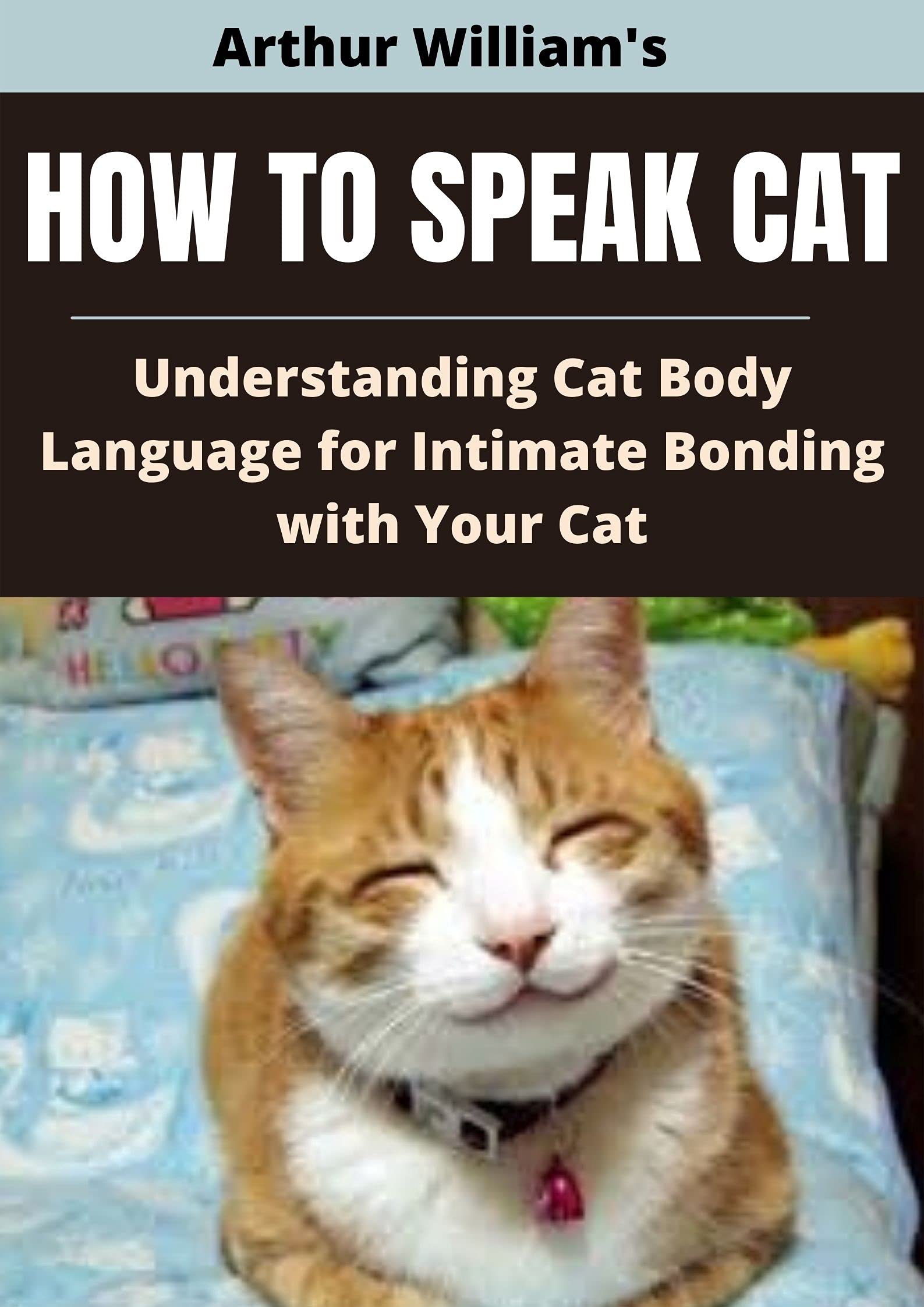 HOW TO SPEAK CAT: UNDERSTANDING CAT BODY LANGUAGE FOR INTIMATE BONDING ...