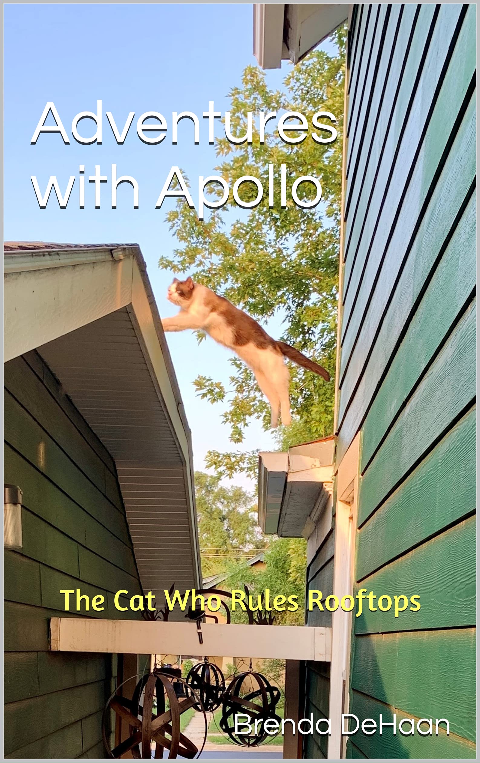 Adventures with Apollo: The Cat Who Rules Rooftops by Brenda DeHaan ...