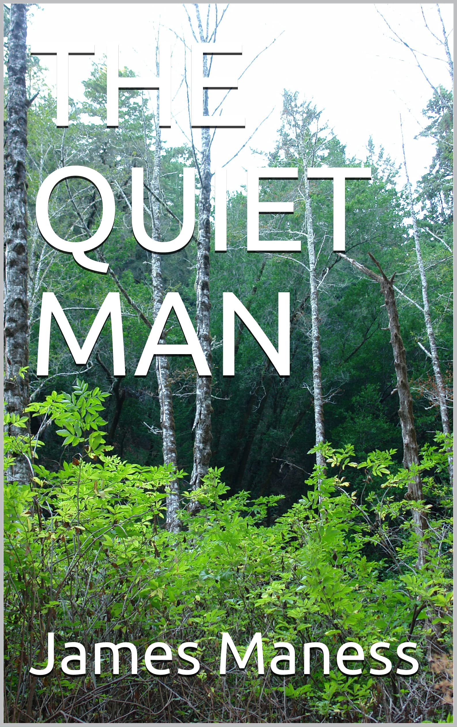THE QUIET MAN by James Maness | Goodreads