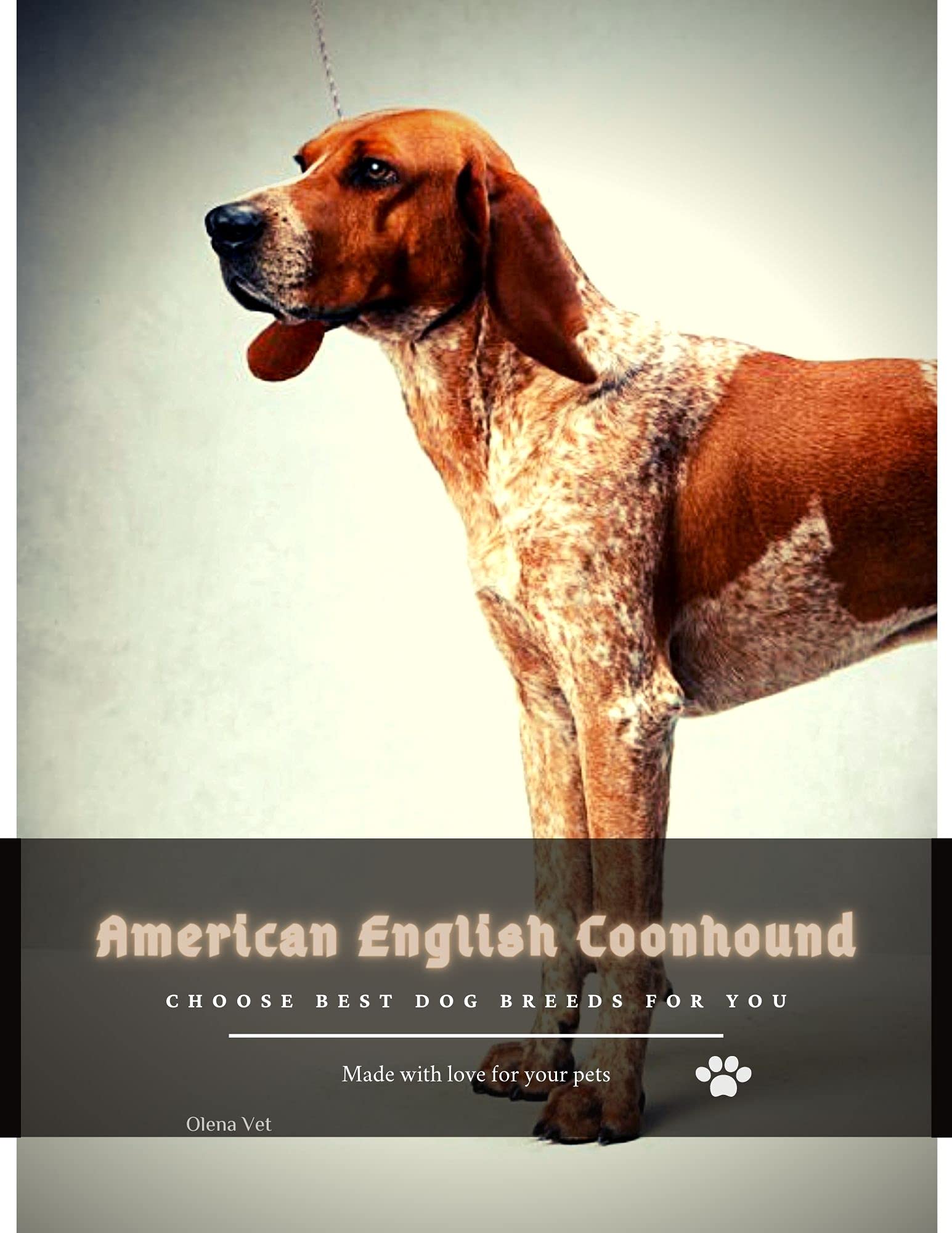 American English Coonhound: Choose best dog breeds for you by Olena Vet ...