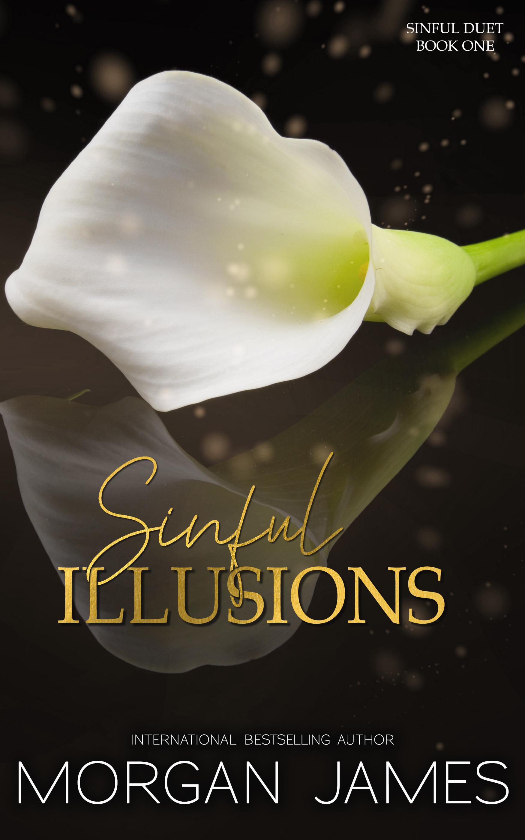 Sinful Illusions (Sinful Duet #1) by Morgan James | Goodreads