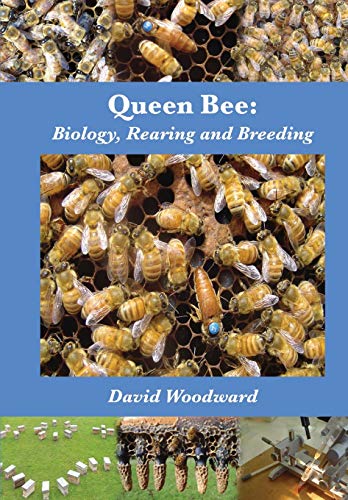 Queen Bee: Biology, Rearing and Breeding by David R Woodward, Northern ...