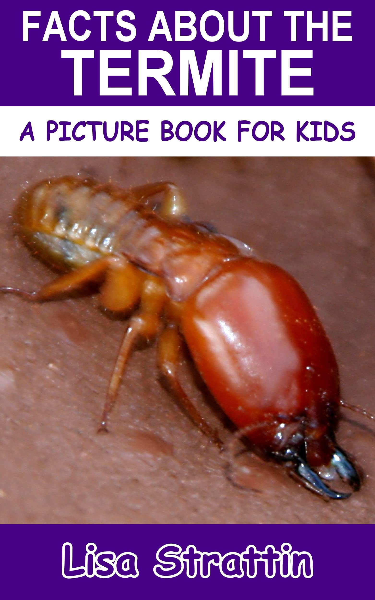 Facts About the Termite by Lisa Strattin | Goodreads
