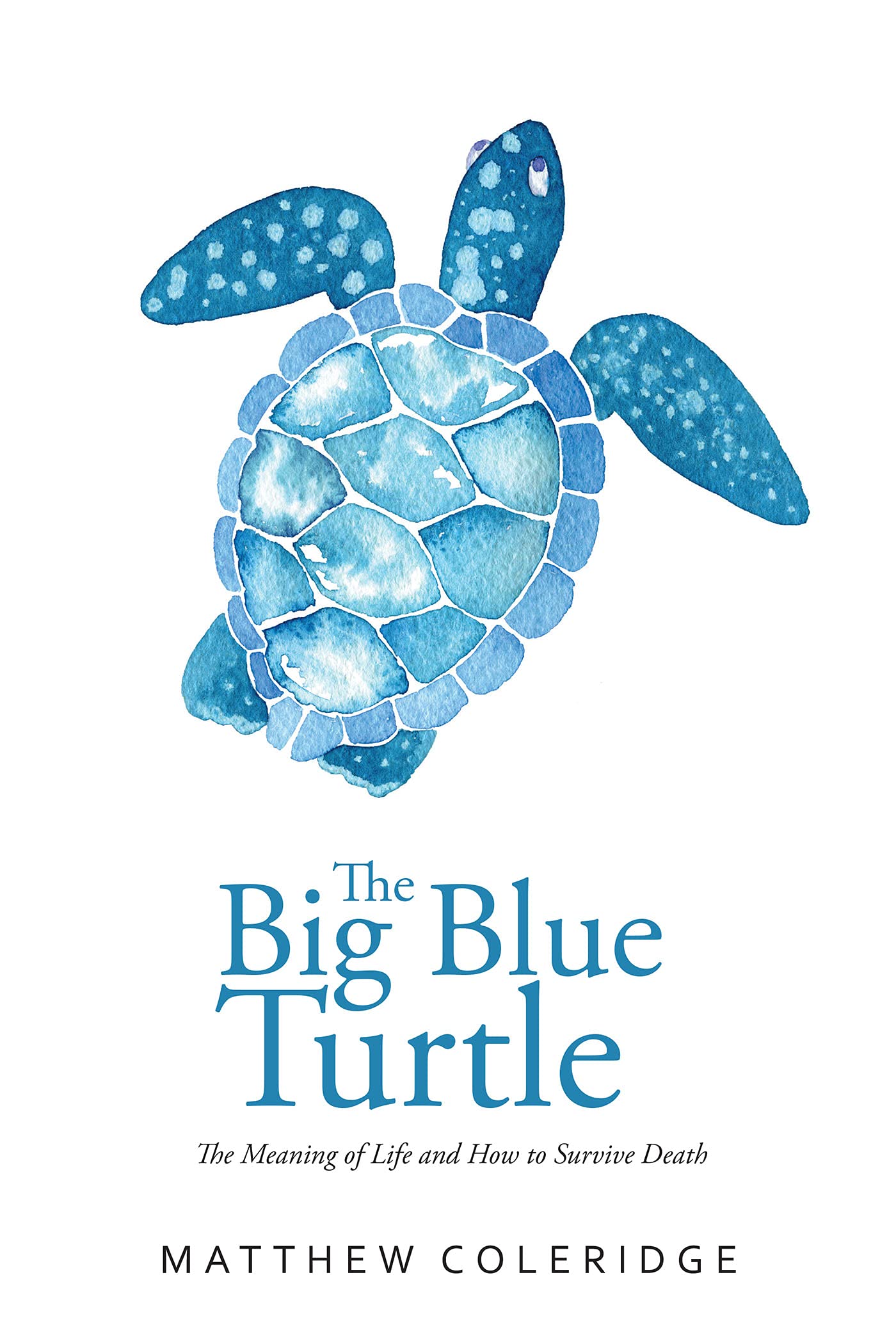 The Big Blue Turtle: The Meaning of Life and How to Survive Death by ...