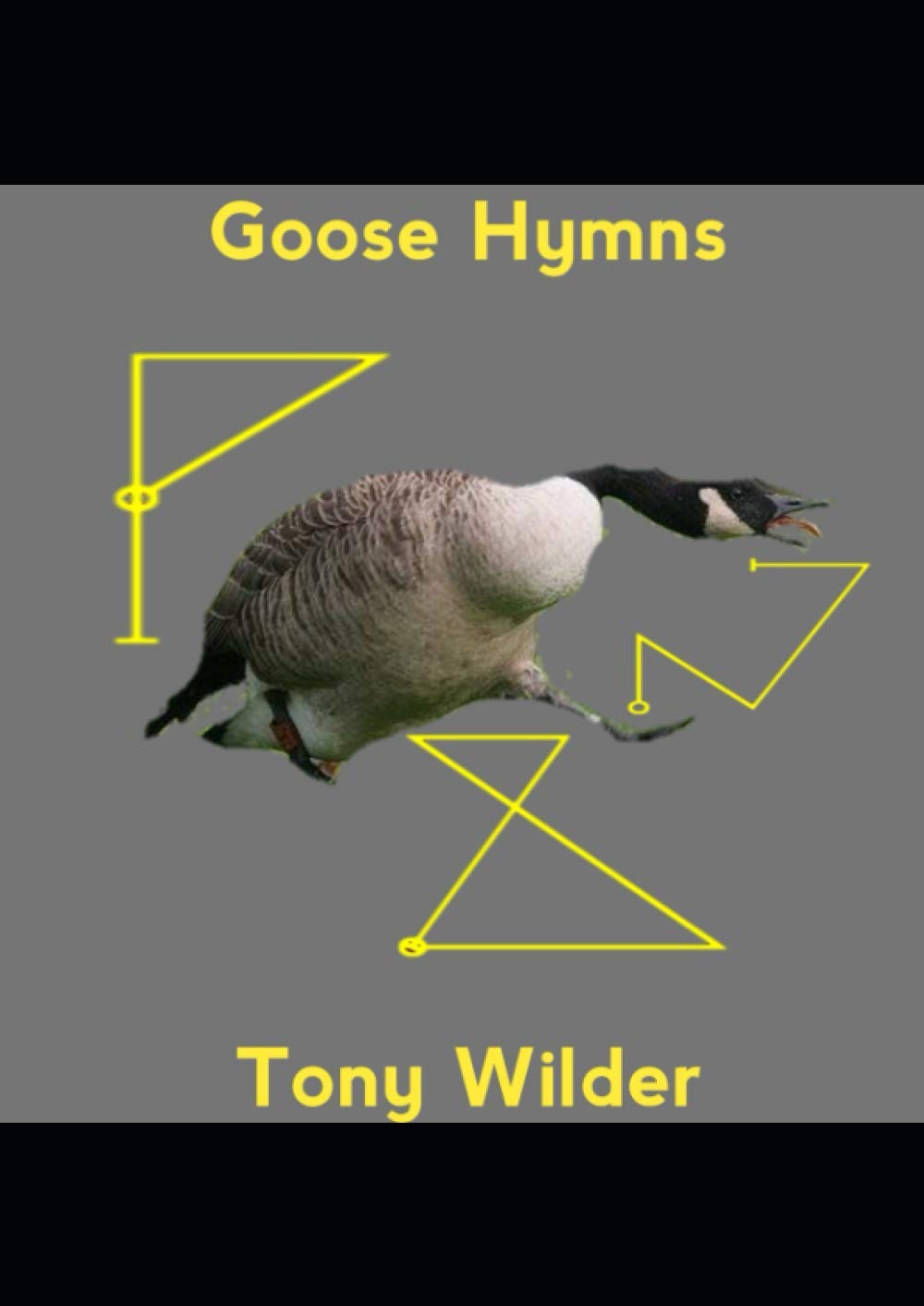 Goose Hymns (Tony Wilder Poetry) by Tony Wilder | Goodreads