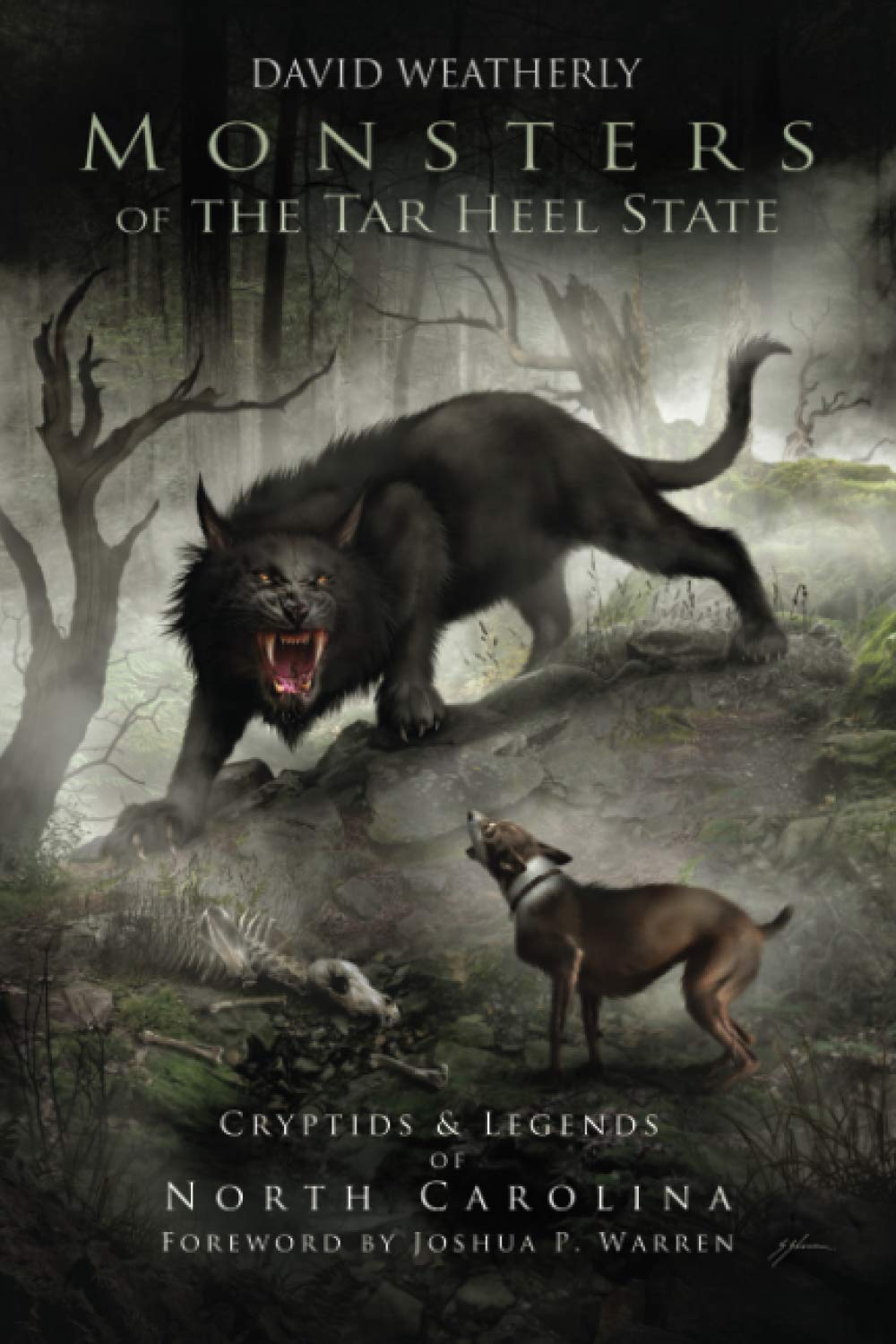 Monsters of the Tar Heel State: Cryptids & Legends of North Carolina by David Weatherly | Goodreads