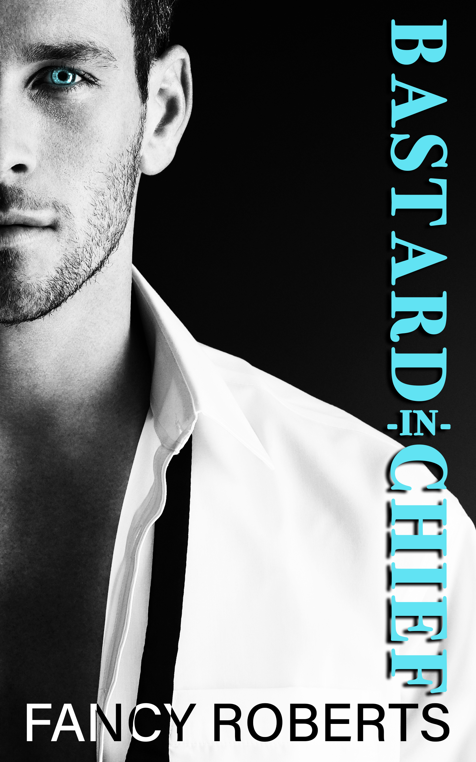 Bastard-in-Chief (Mailbox, Inc #1) by Fancy Roberts | Goodreads