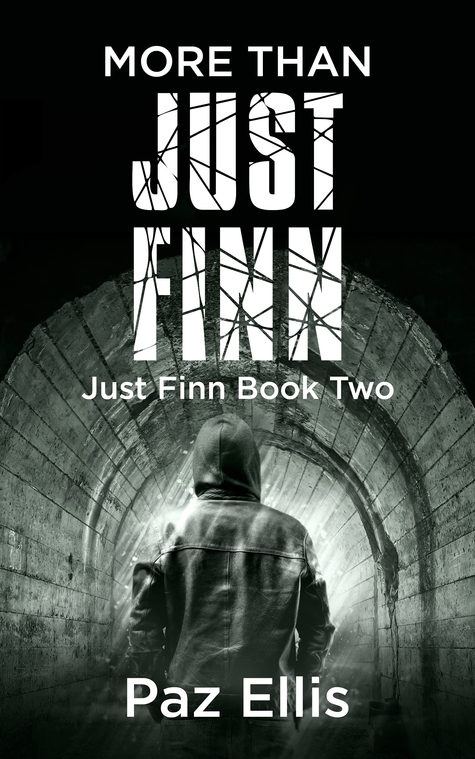 MORE THAN JUST FINN: Just Finn - Book Two by Paz Ellis | Goodreads