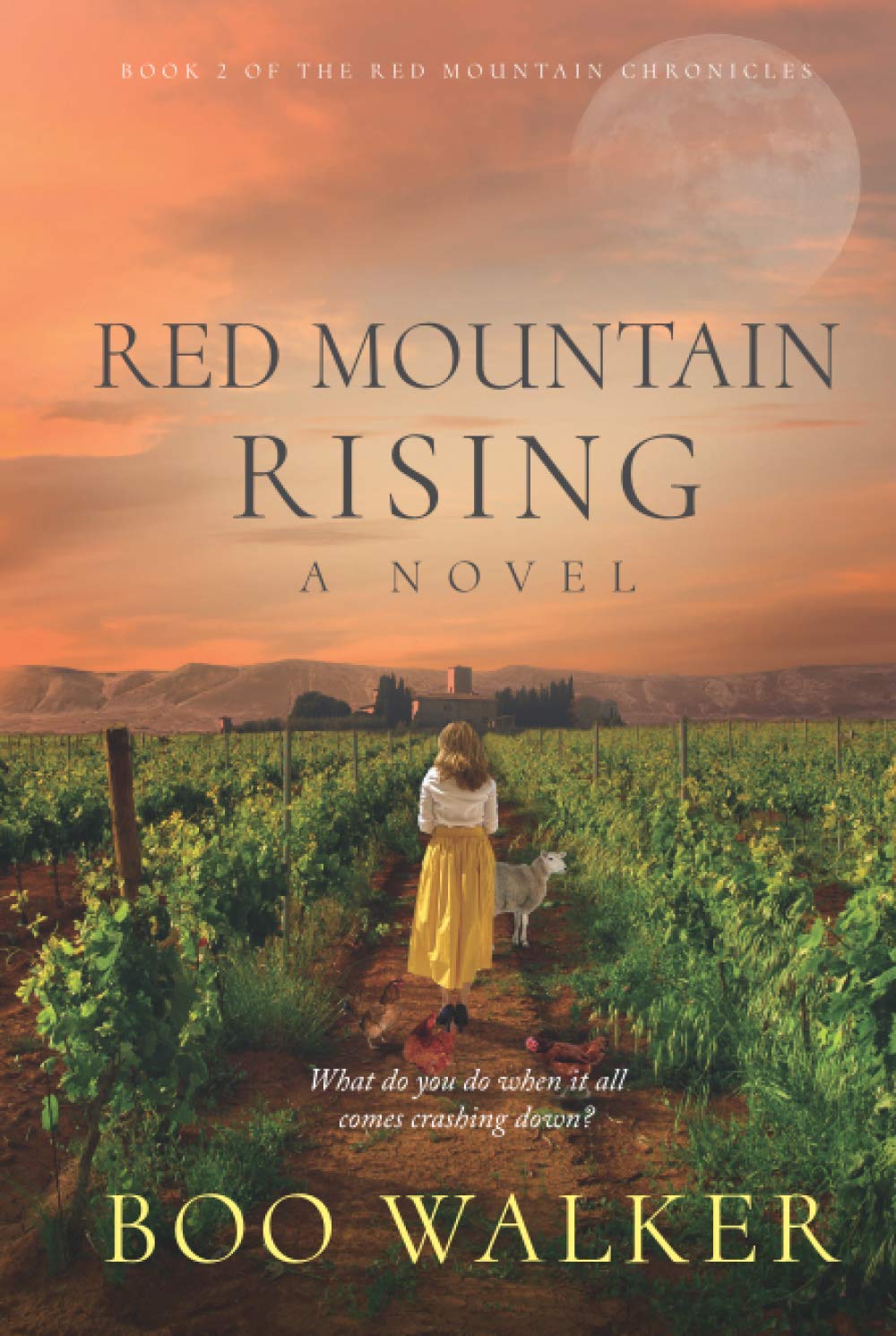 Red Mountain Rising: A Novel (Red Mountain Chronicles) by Boo Walker ...