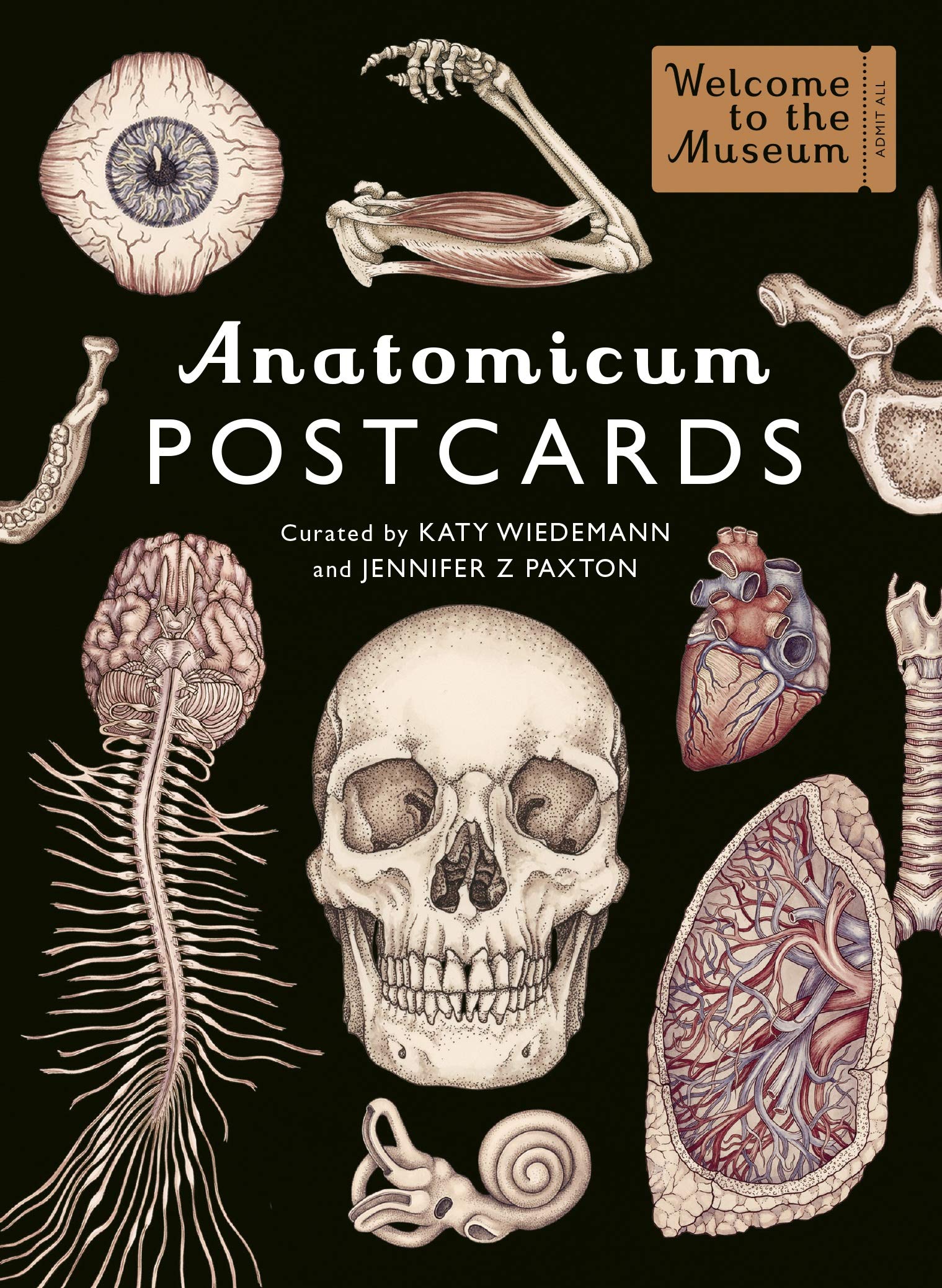 Anatomicum Postcard Box: Welcome to the Museum by Jennifer Z Paxton ...