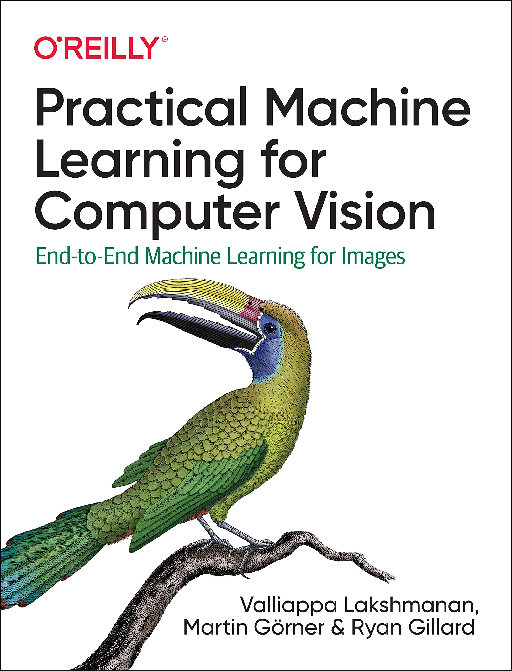 Practical Machine Learning for Computer Vision: End-to-End Machine ...
