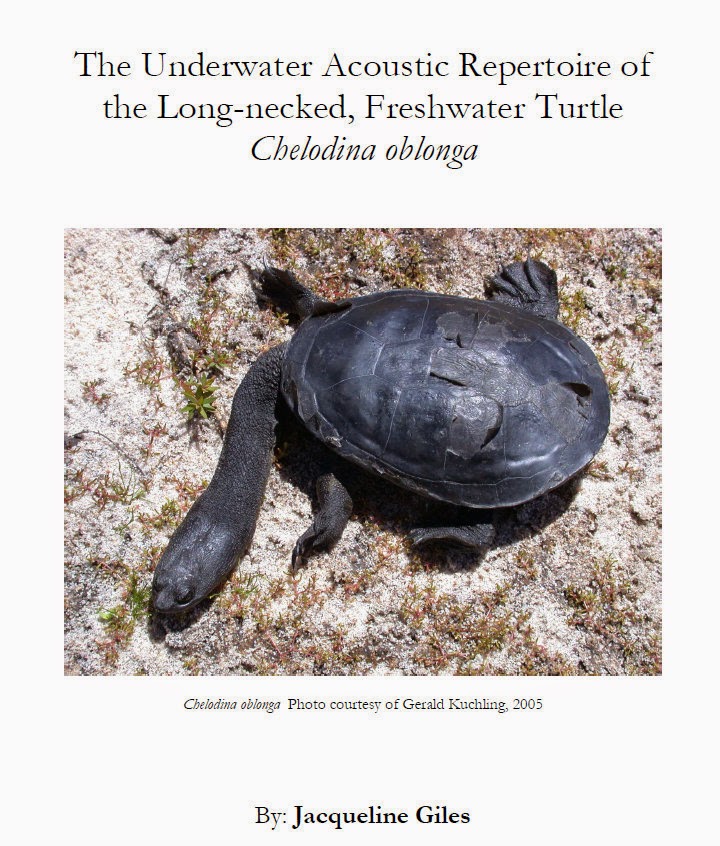 Voice of the turtle: The underwater acoustic repertoire of the long ...
