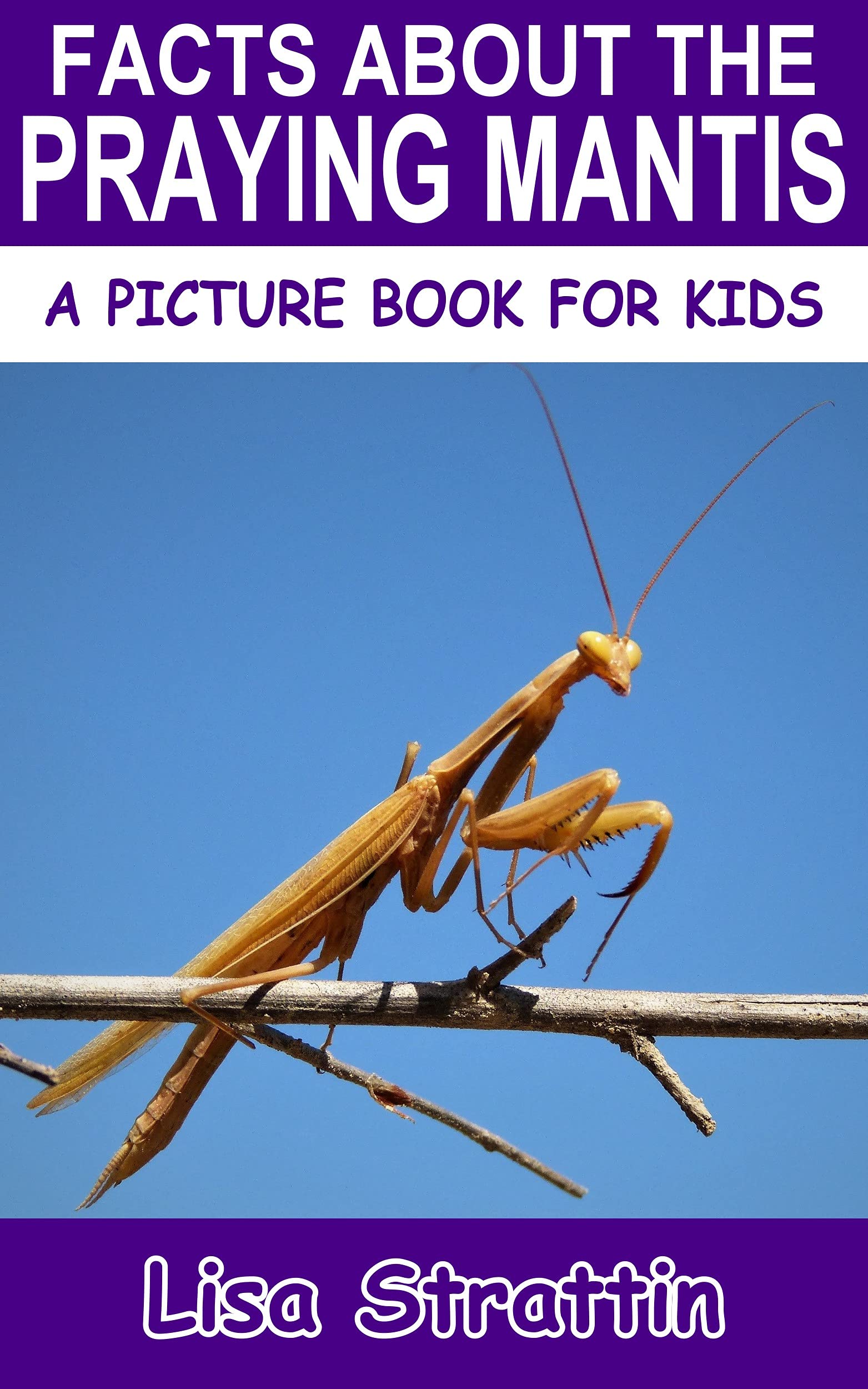 Facts About the Praying Mantis by Lisa Strattin | Goodreads