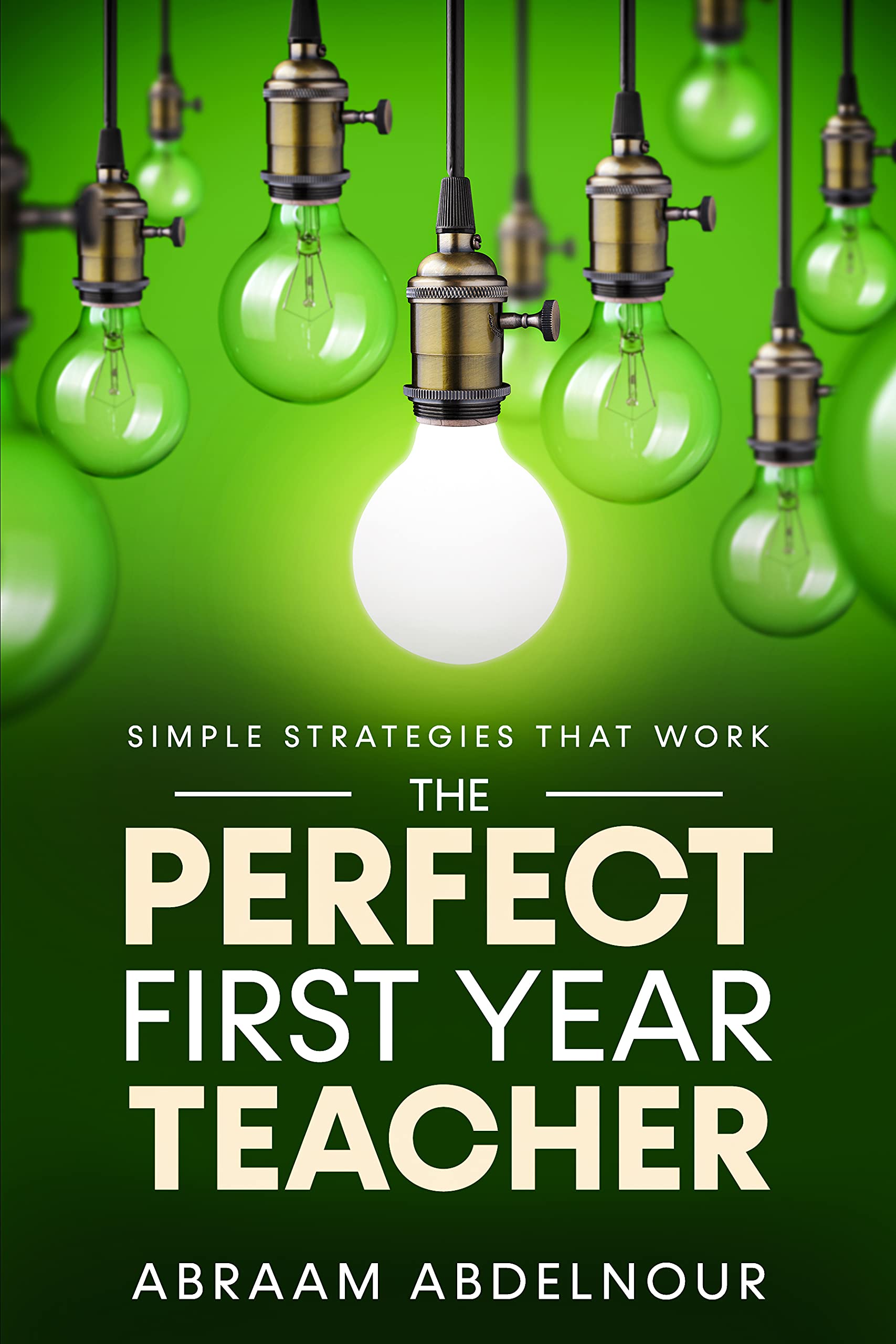 The Perfect First Year Teacher: Simple Strategies that Work by Abraam ...