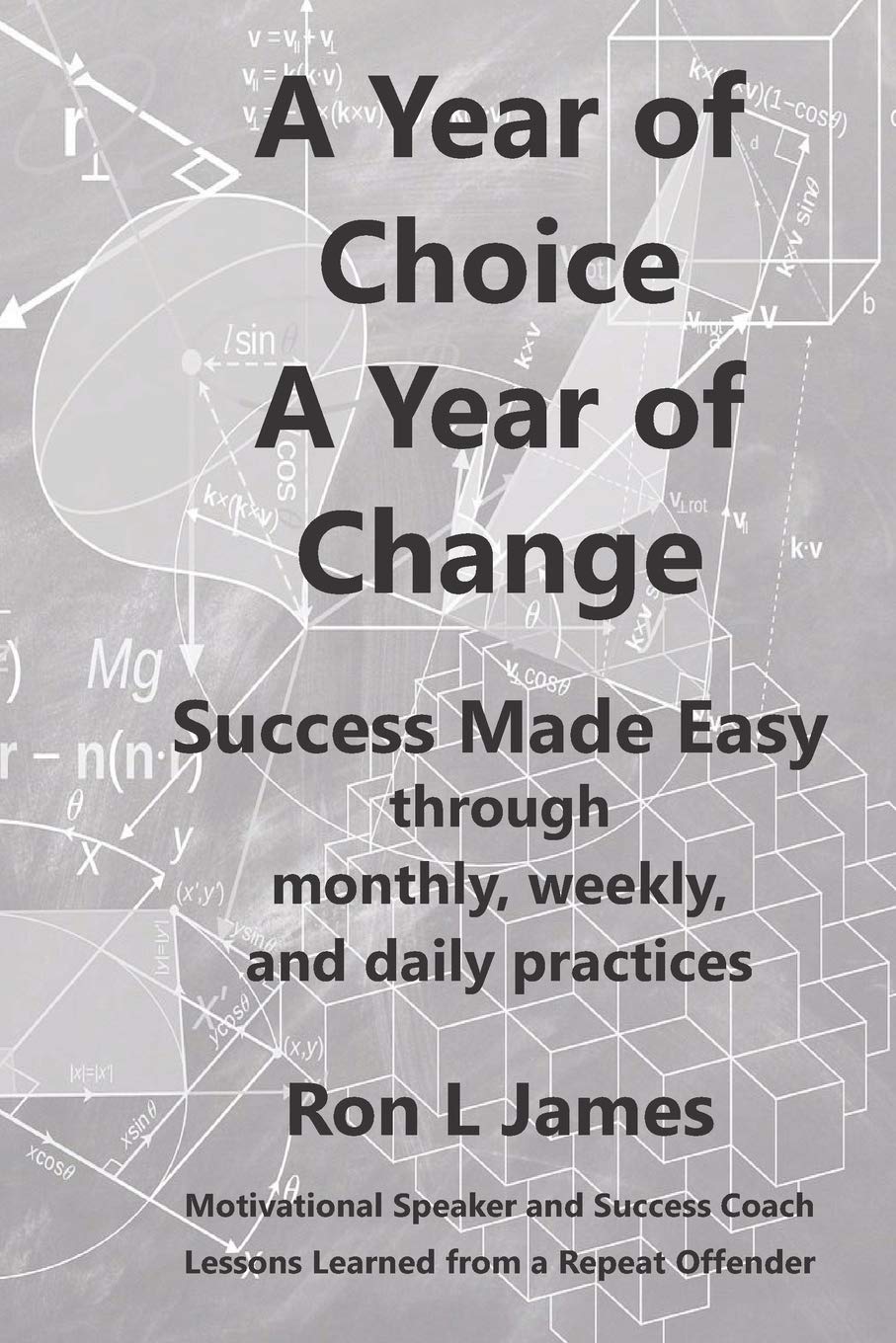 A Year of Choice A Year of Change: Success Made Easy Through Monthly ...