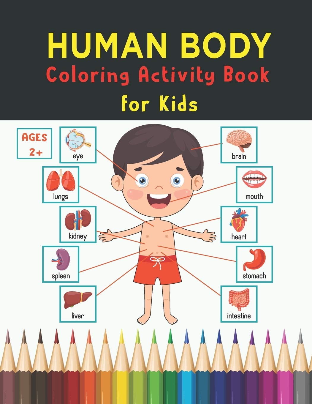 Human Body Coloring Activity Book for Kids: Physiology Educational ...