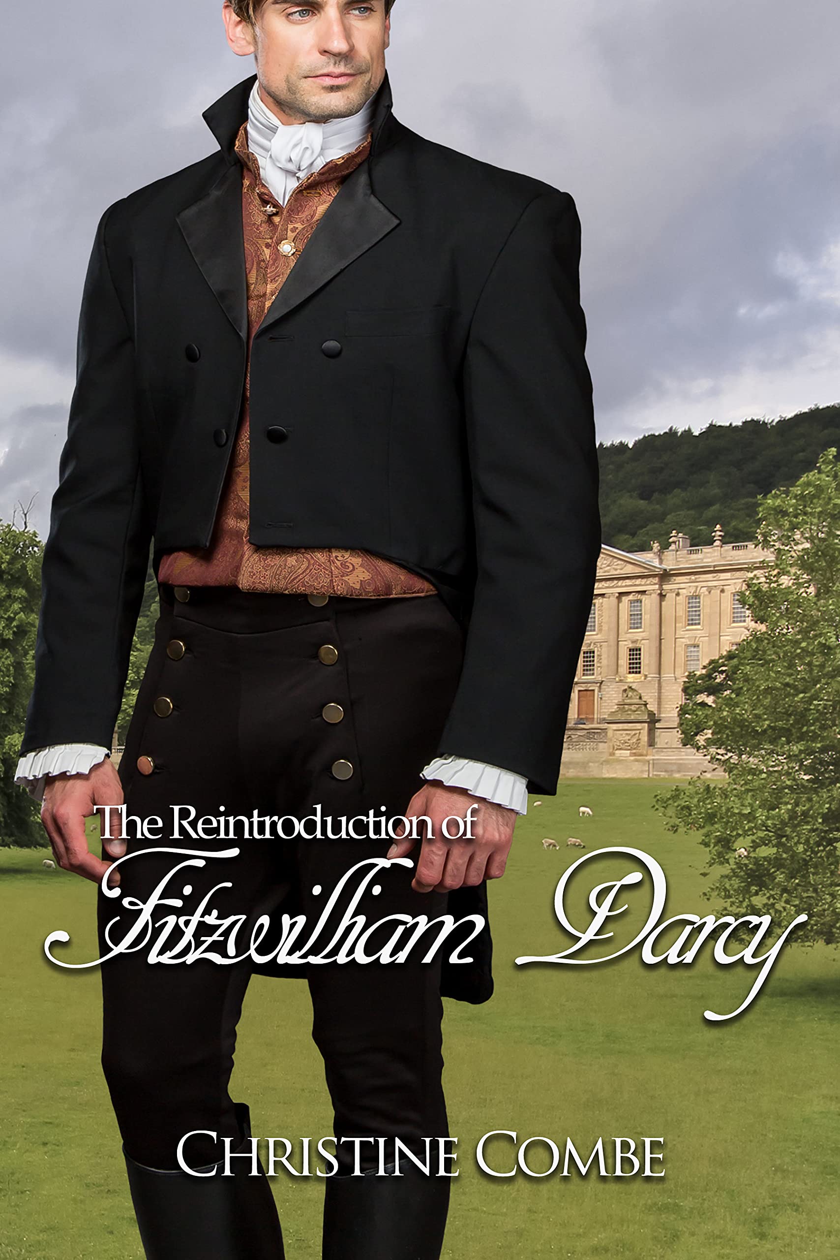 The Reintroduction of Fitzwilliam Darcy: A Pride and Prejudice ...