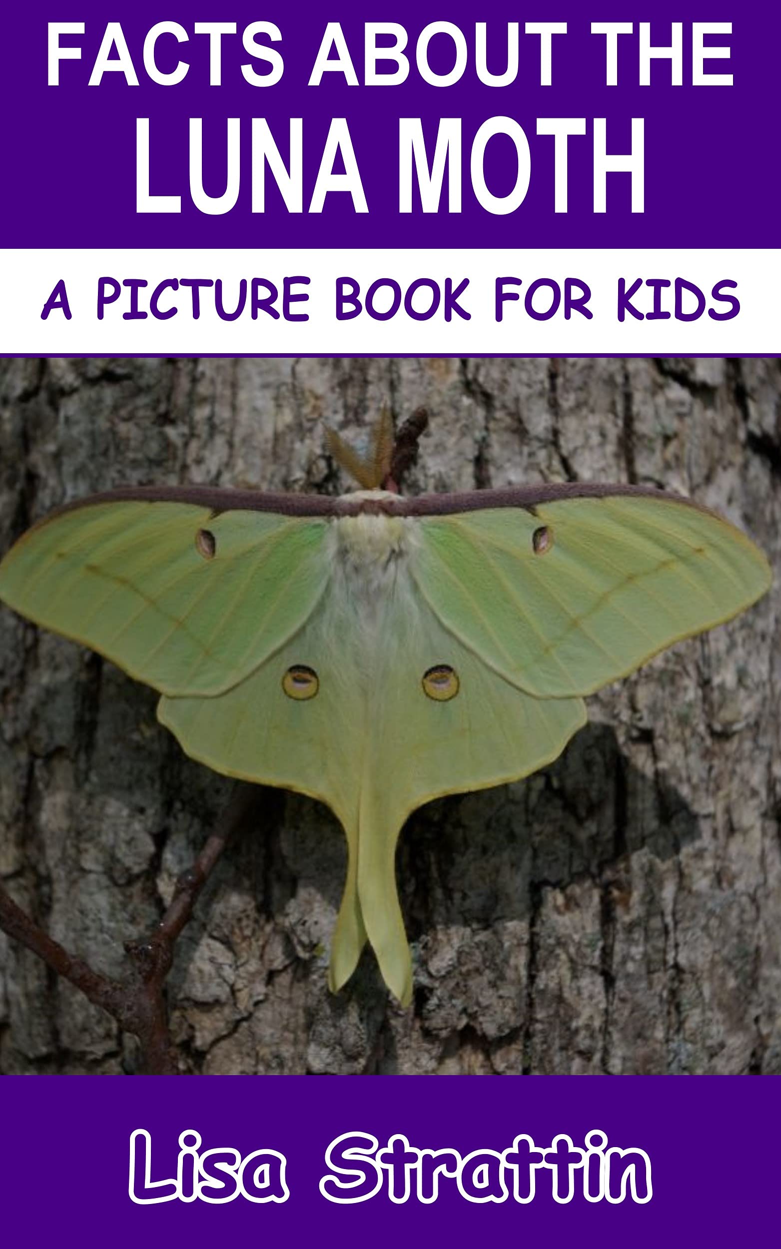 Facts About the Luna Moth by Lisa Strattin | Goodreads