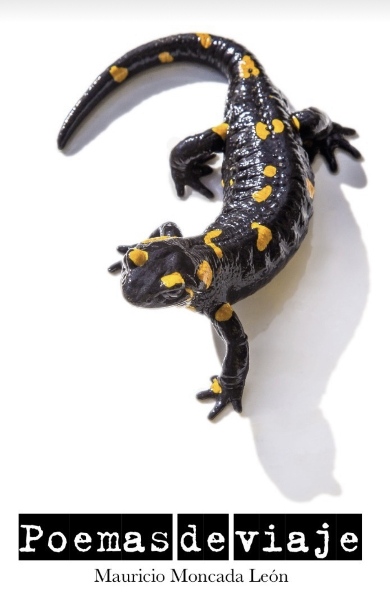 Poemas de viaje by Mauricio Moncada León | Goodreads