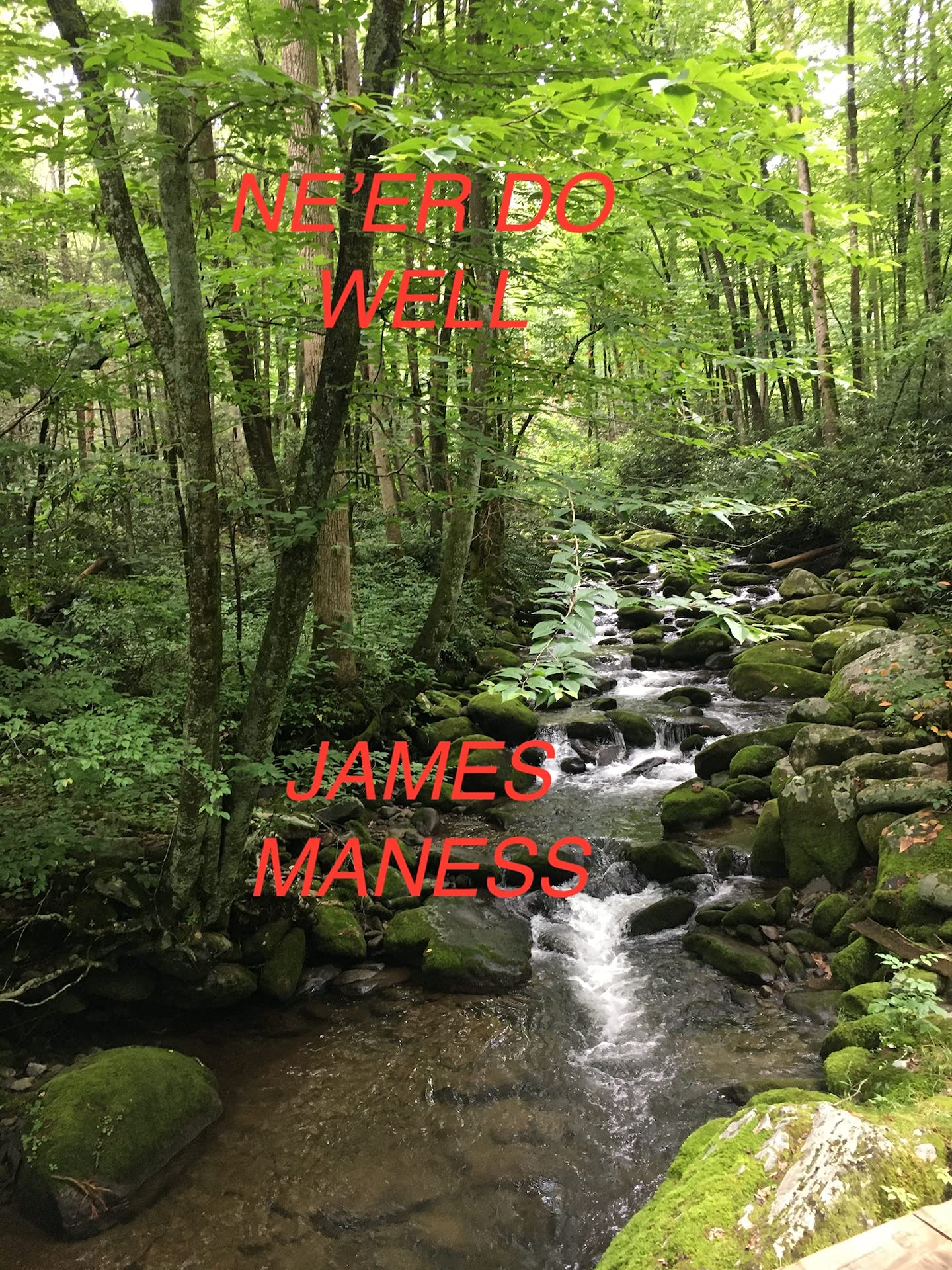 NE'ER DO WELL by James Maness | Goodreads