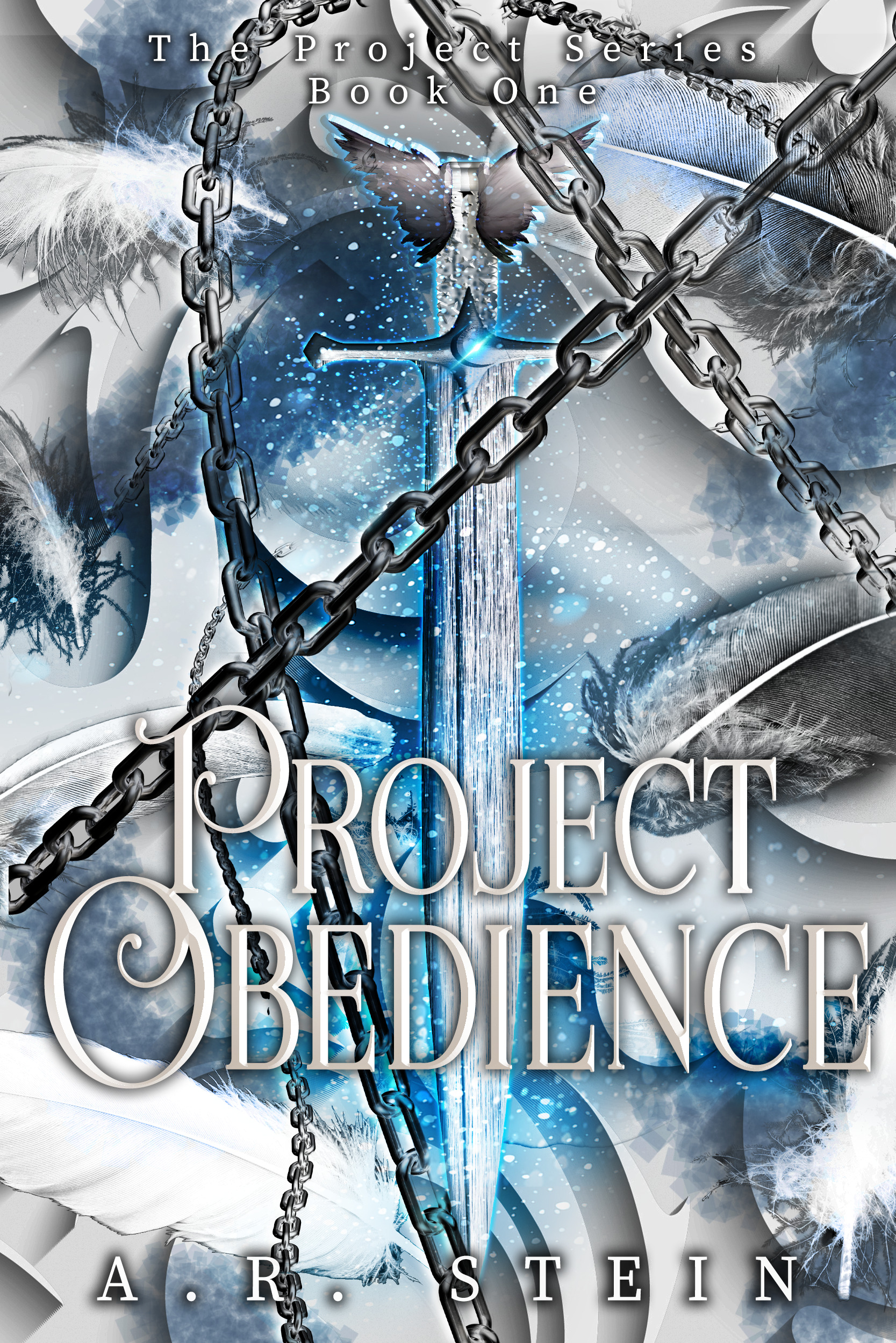 Project Obedience (Project Series, #1) by A.R. Stein | Goodreads