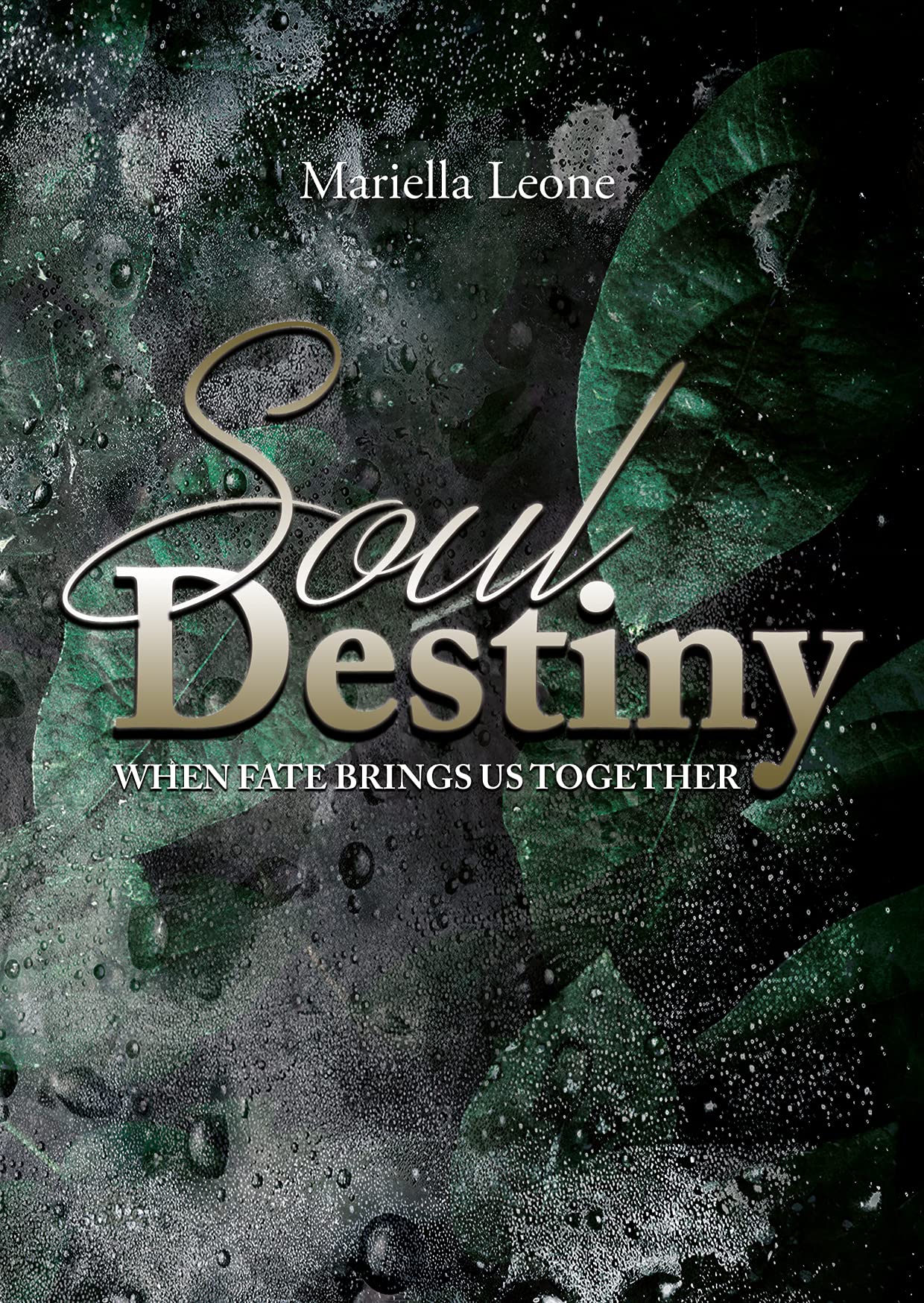 Soul Destiny : When fate brings us together by Mariella Leone | Goodreads