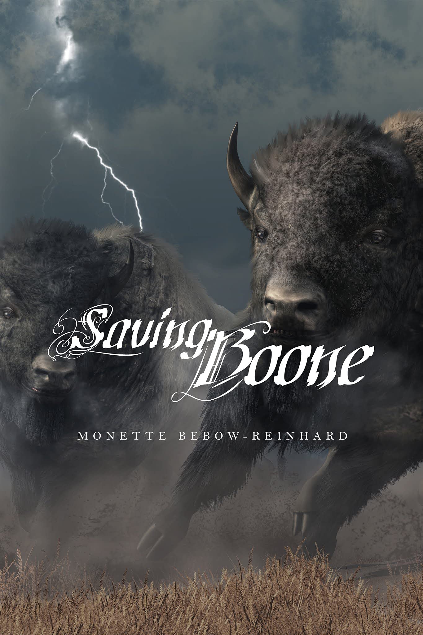 Saving Boone: Legend of a Kiowa Son by Monette Bebow-Reinhard | Goodreads