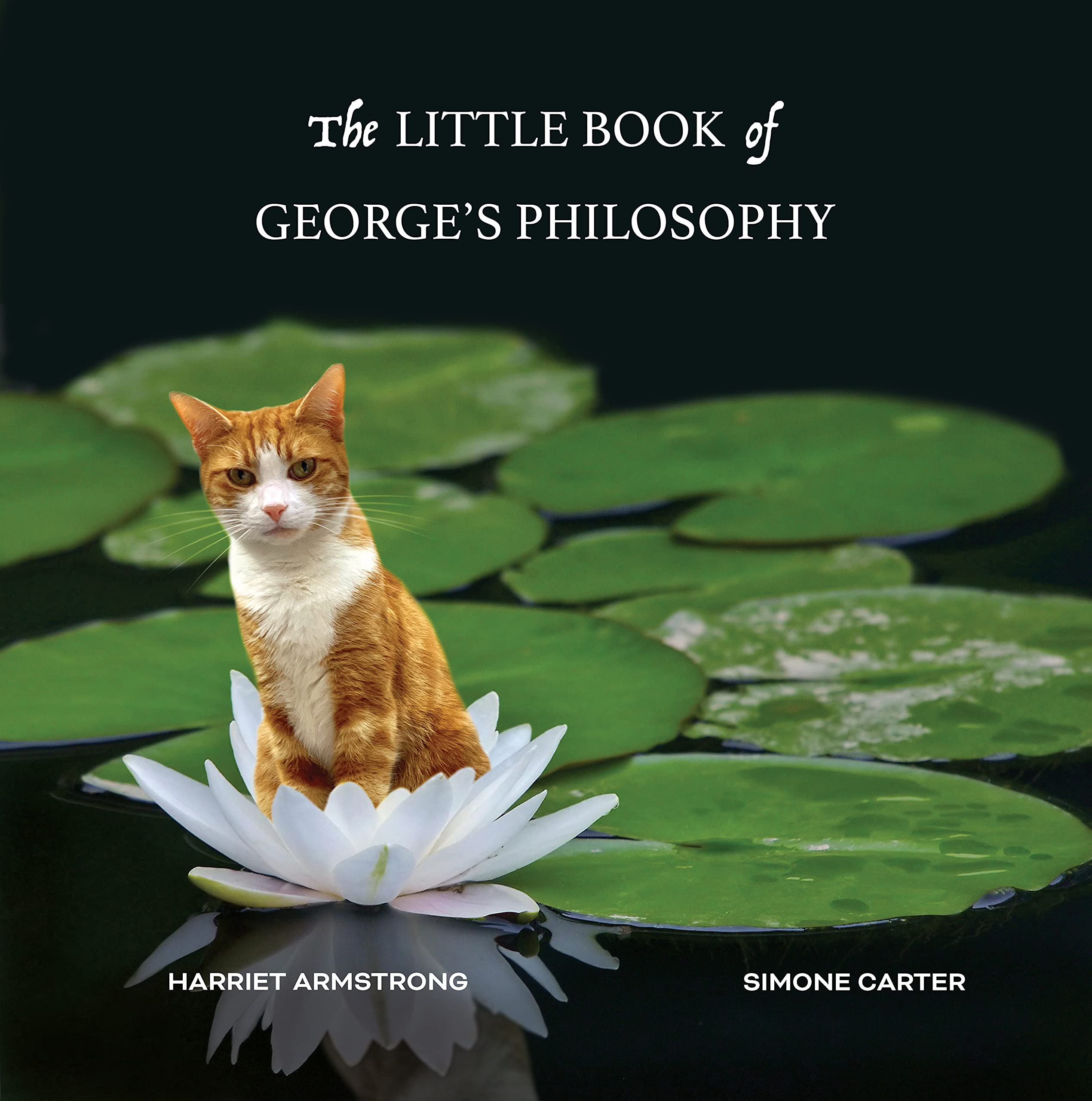 The Little Book of George's Philosophy by Harriet Armstrong | Goodreads