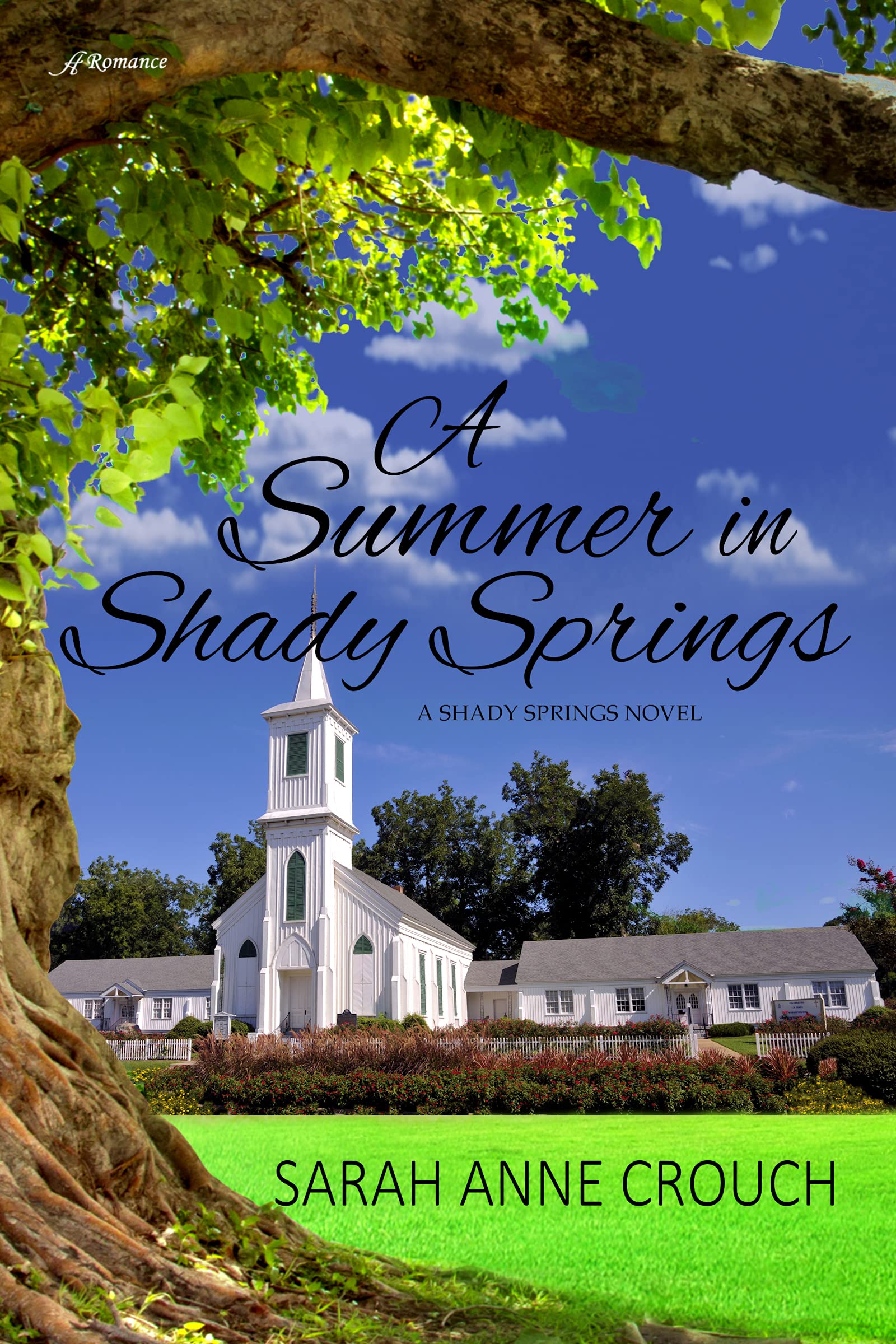 A Summer in Shady Springs by Sarah Anne Crouch | Goodreads