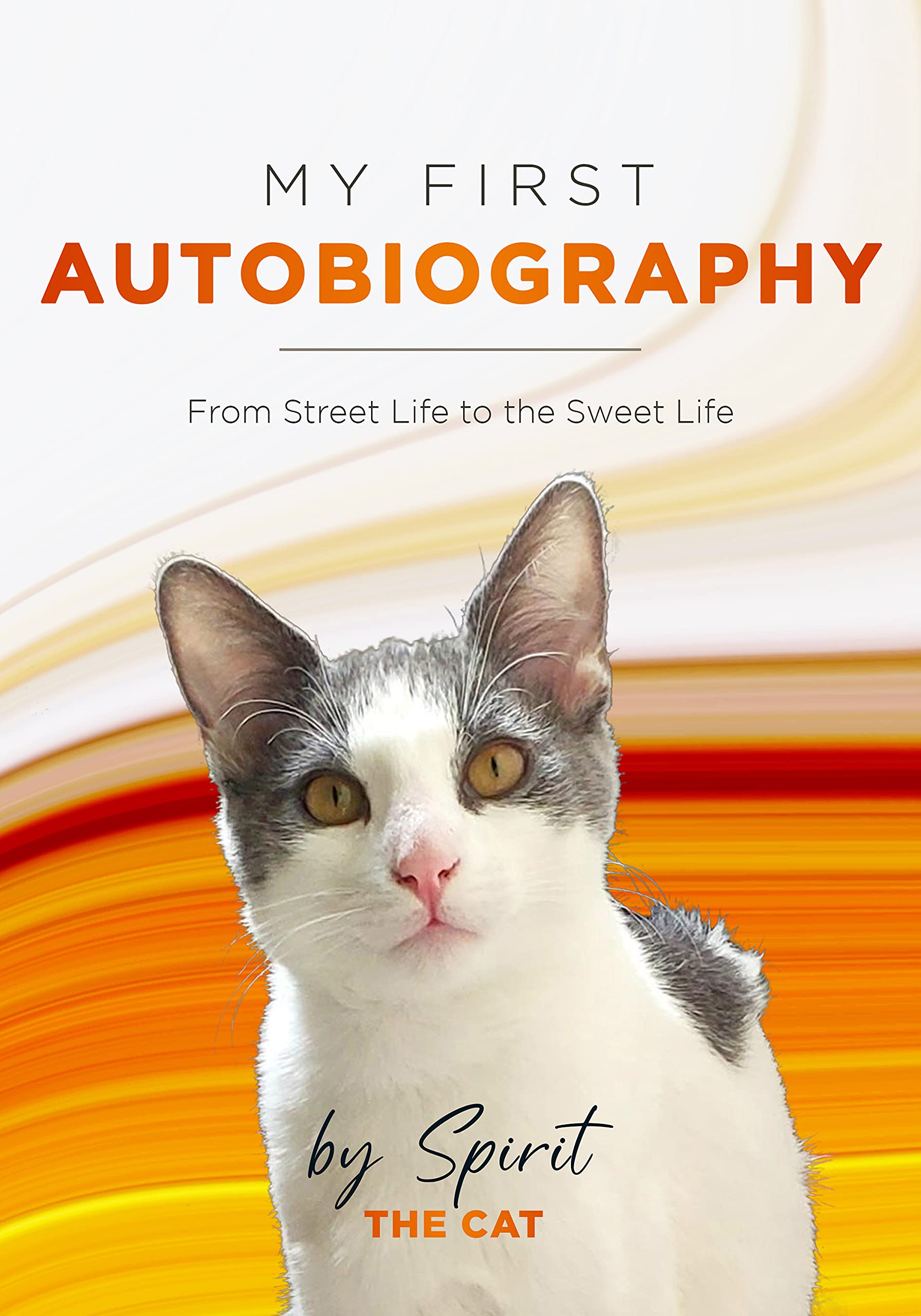 My First Autobiography: From Street Life to the Sweet Life by Spirit ...