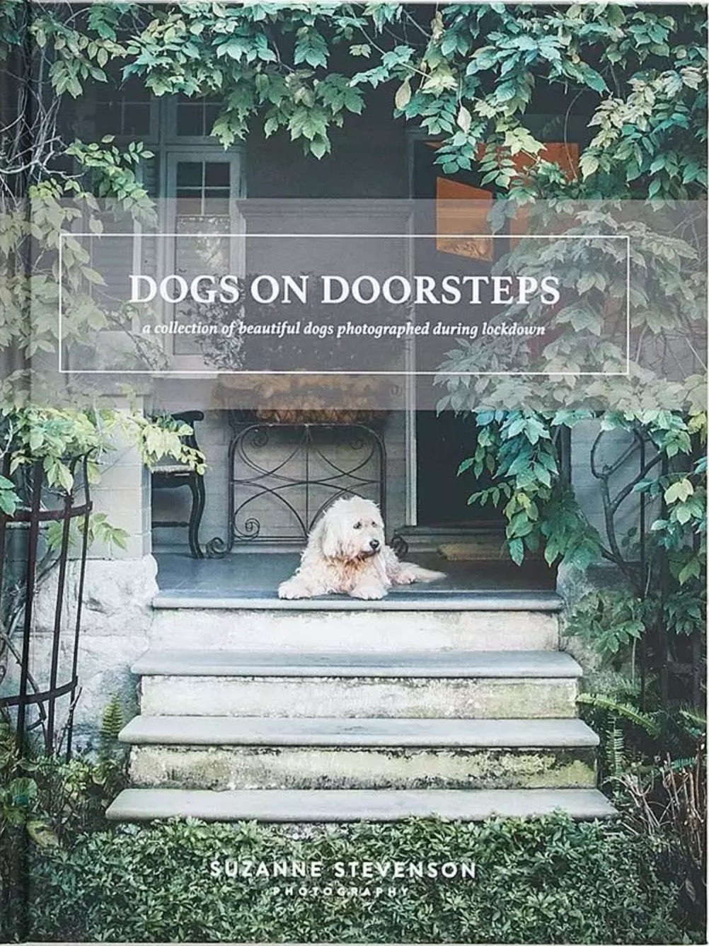 Dogs on Doorsteps by Suzanne Stevenson | Goodreads
