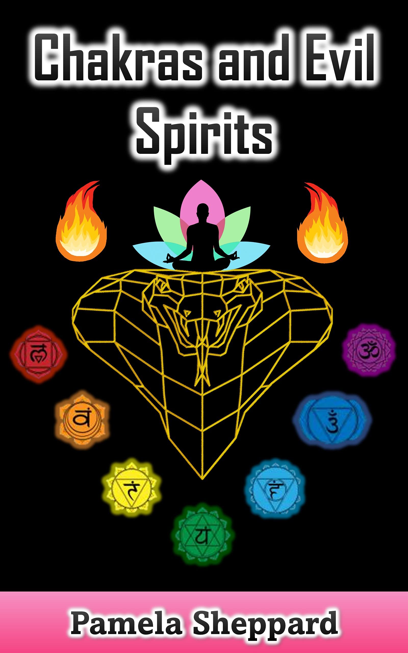 Chakras and Evil Spirits by Pamela Sheppard | Goodreads