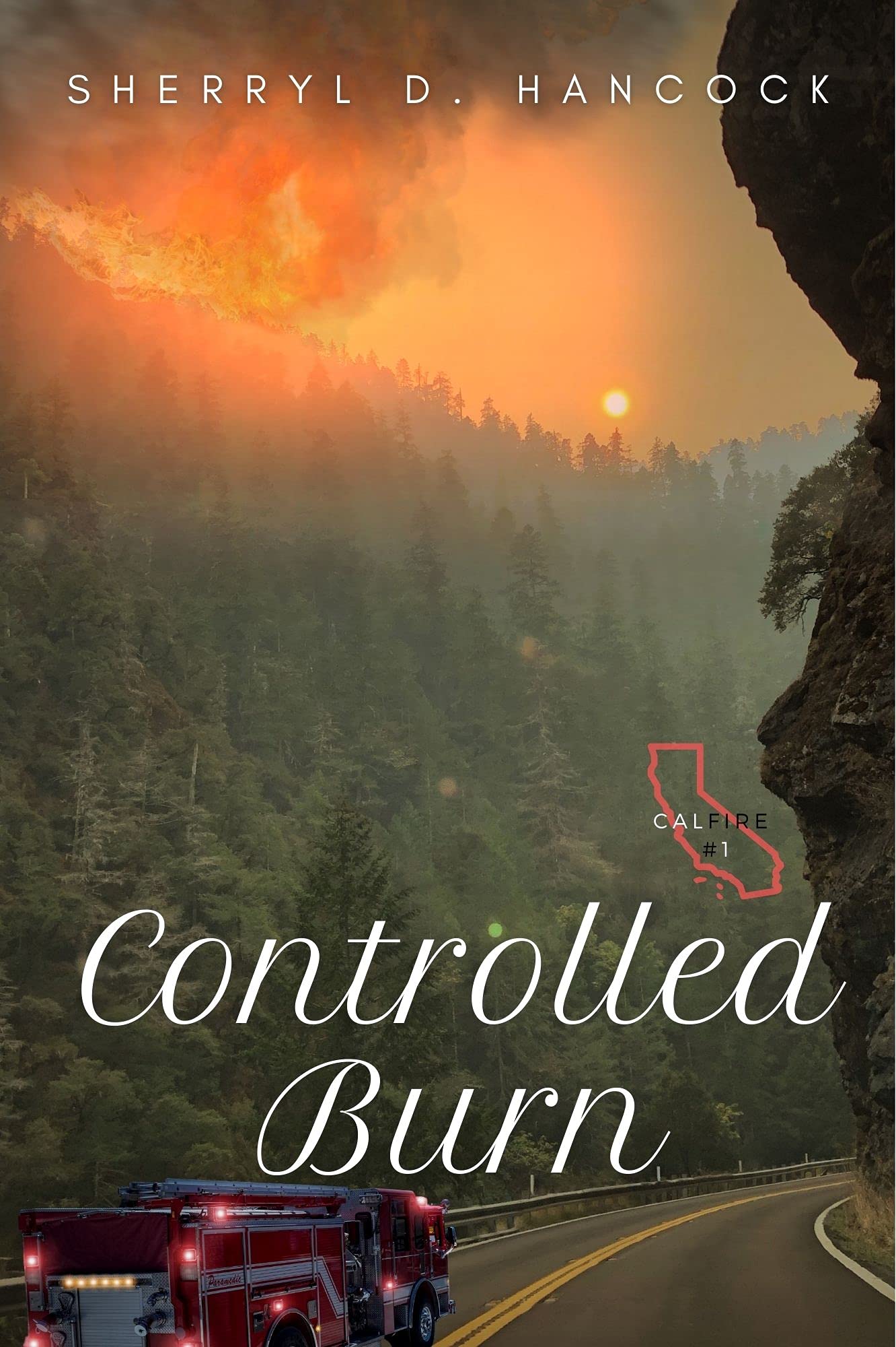 Controlled Burn (CalFire Book 1) by Sherryl D. Hancock | Goodreads