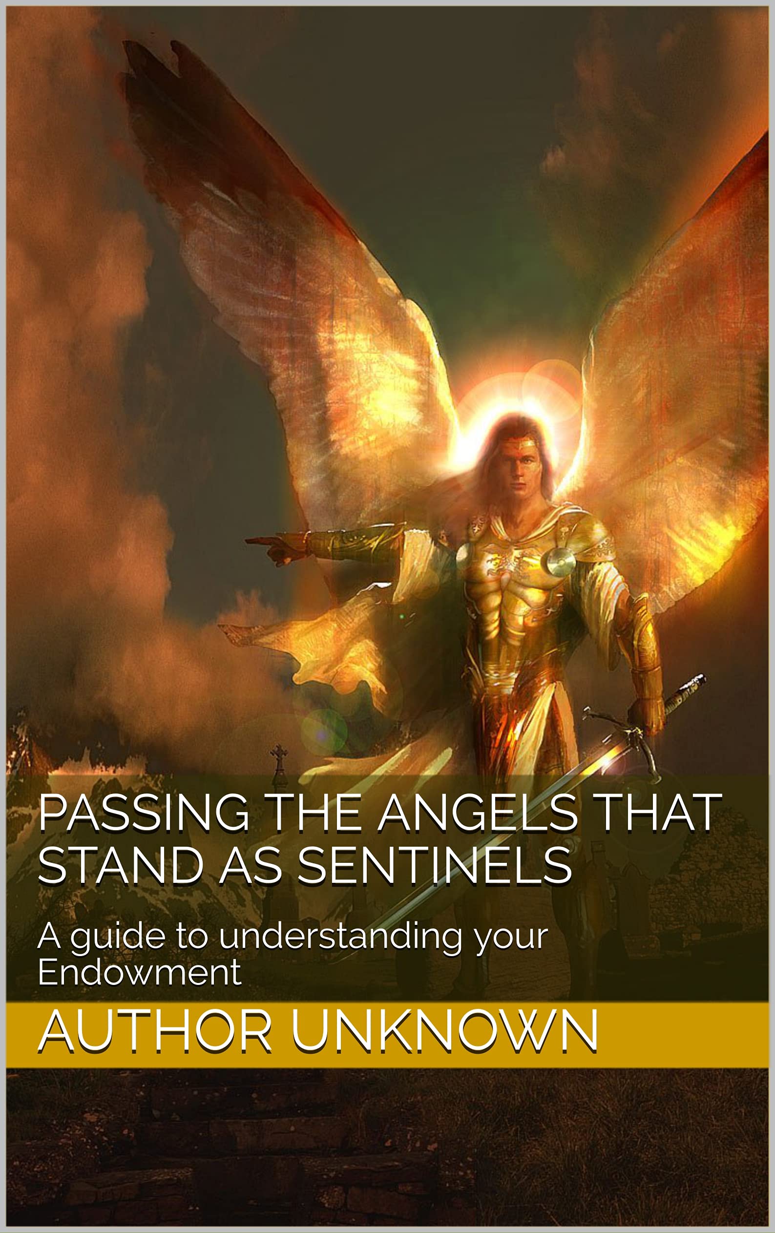 Passing The Angels Who Stand As Sentinels: A guide to understanding ...