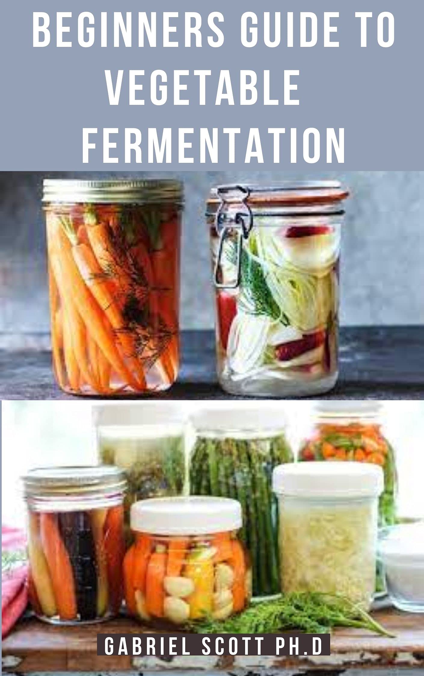 BEGINNERS GUIDE TO VEGETABLE FERMENTATION: Simple Step by Step Guide On ...