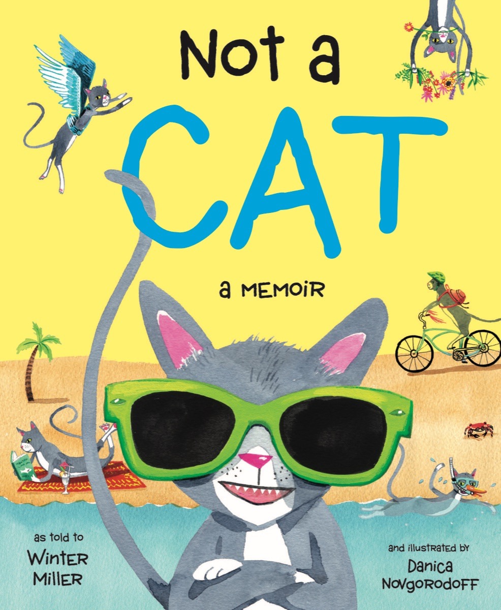 Not a Cat: A Memoir by Winter Miller | Goodreads