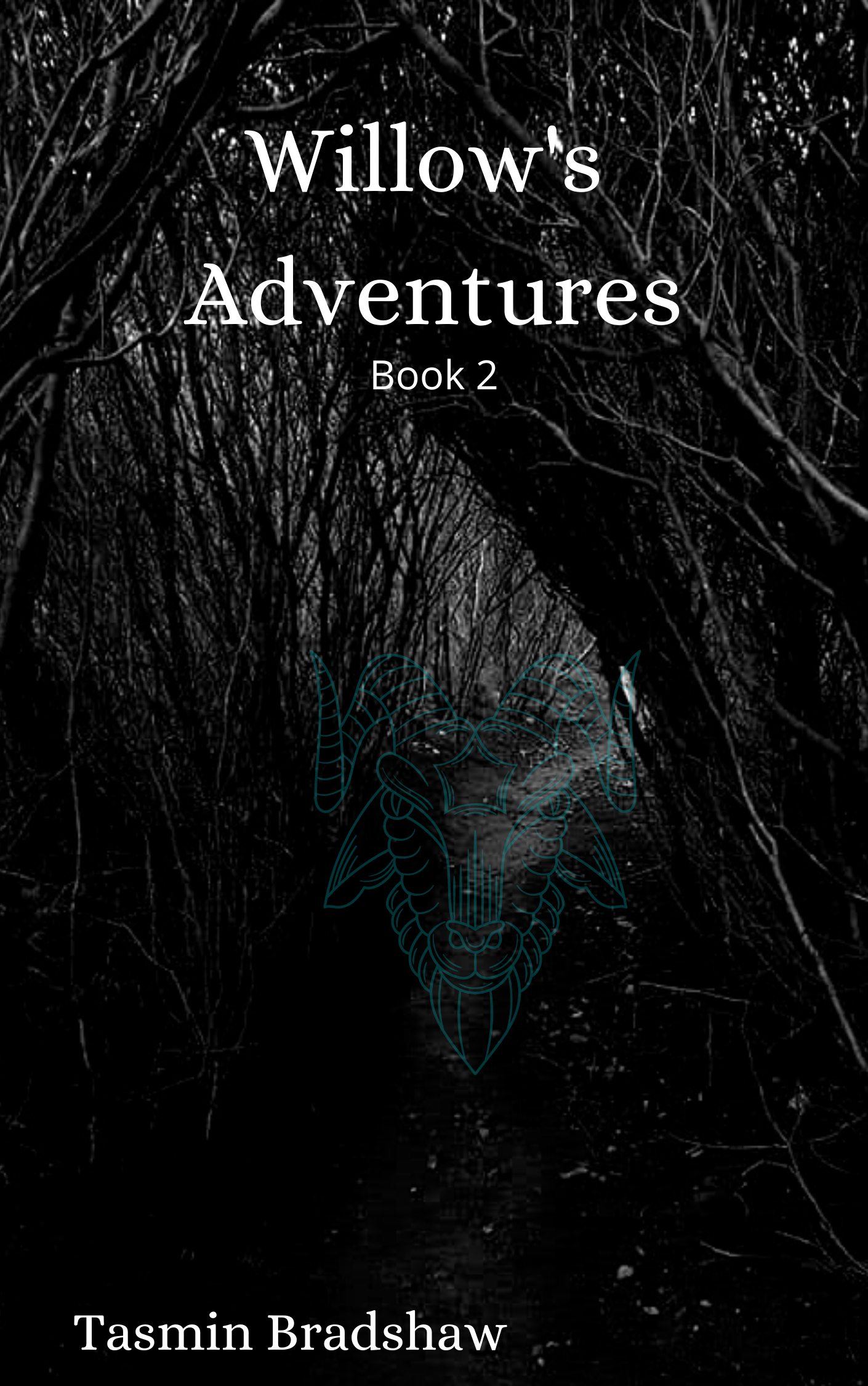 Willow's Adventures Book 2 by Tasmin Bradshaw | Goodreads