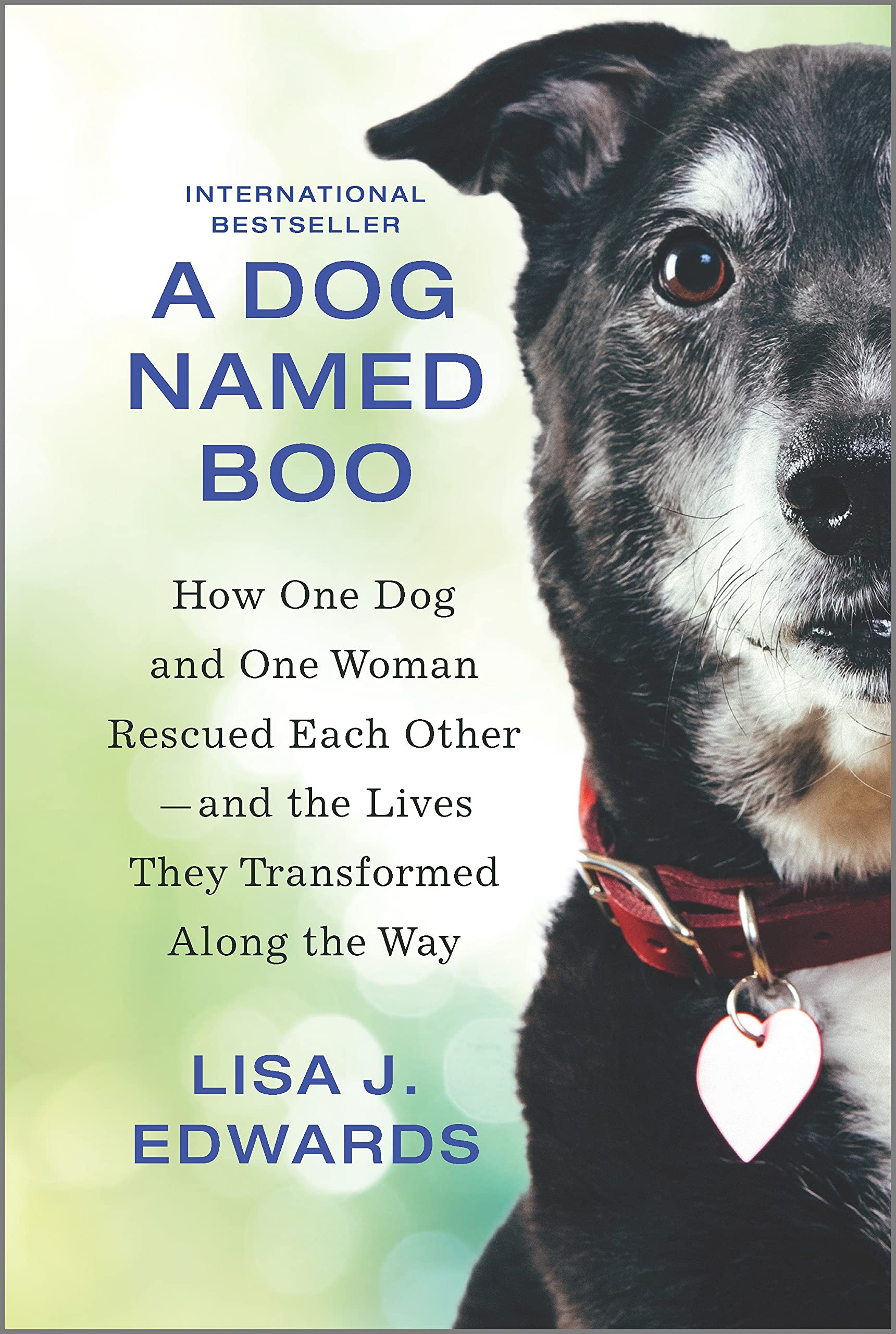 A Dog Named Boo: How One Dog and One Woman Rescued Each Other—and the ...