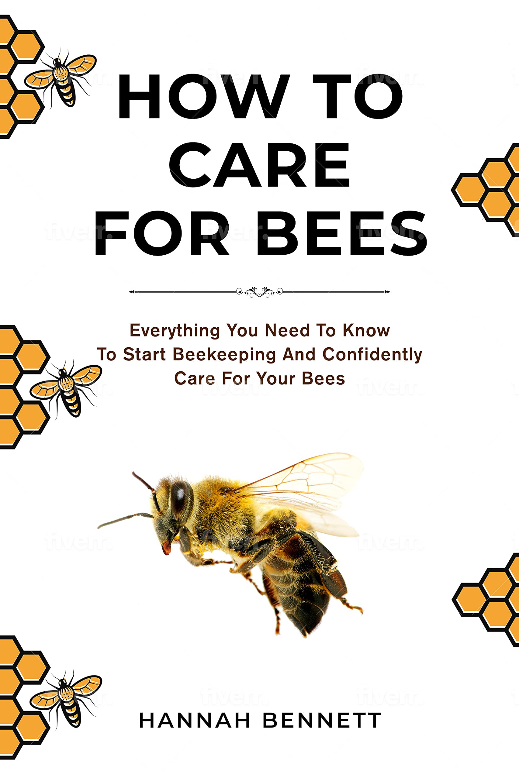 How to Care for Bees: Everything You Need to Know To Start Bee Keeping ...