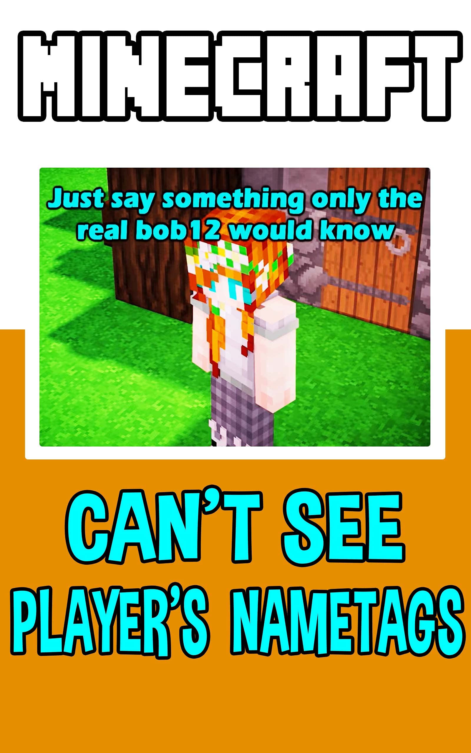 Minecraft Comic Book: Can't See Player's Nametags by Thomas Hartmann | Goodreads