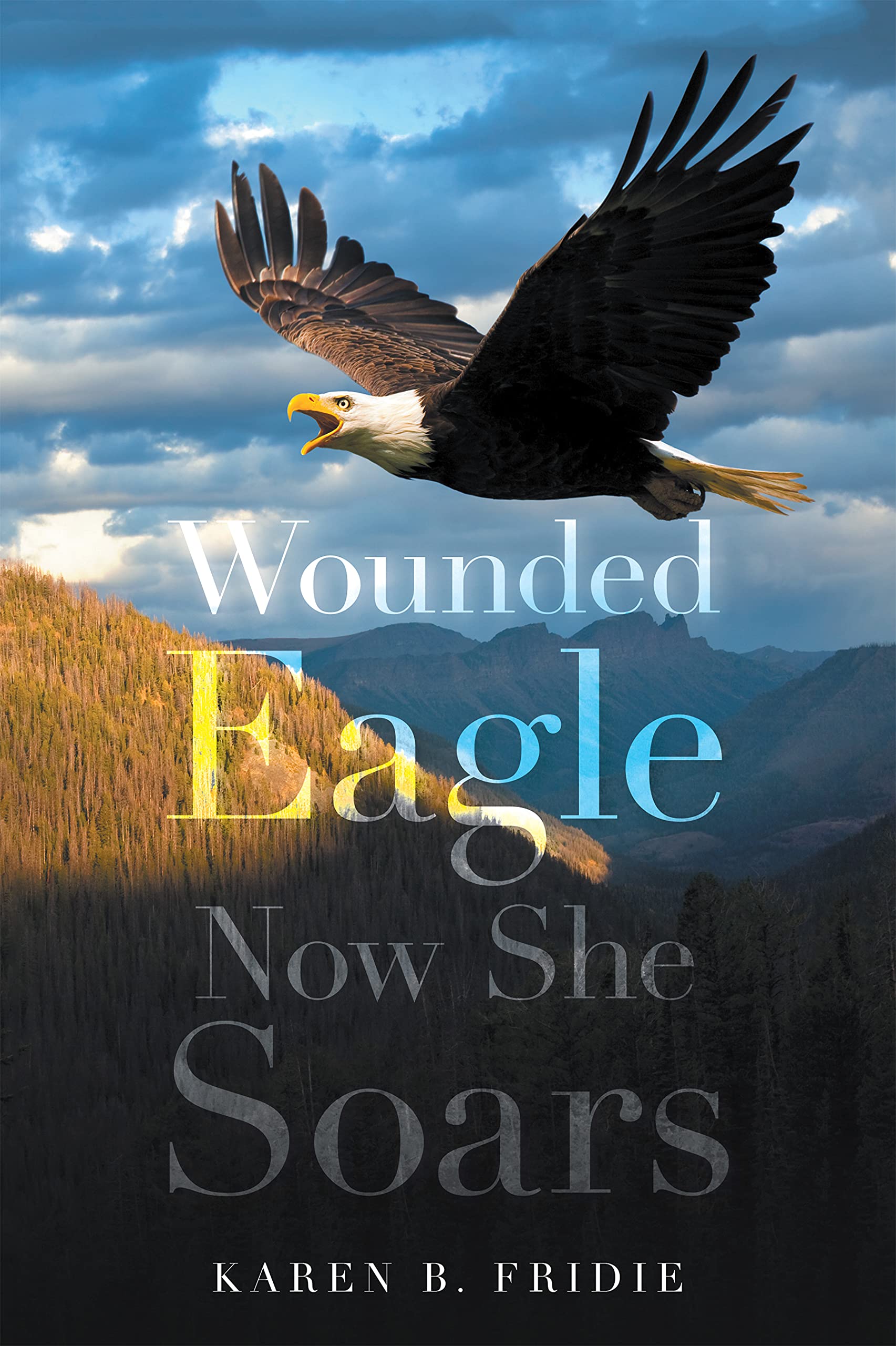 Wounded Eagle: Now She Soars by Karen B. Fridie | Goodreads