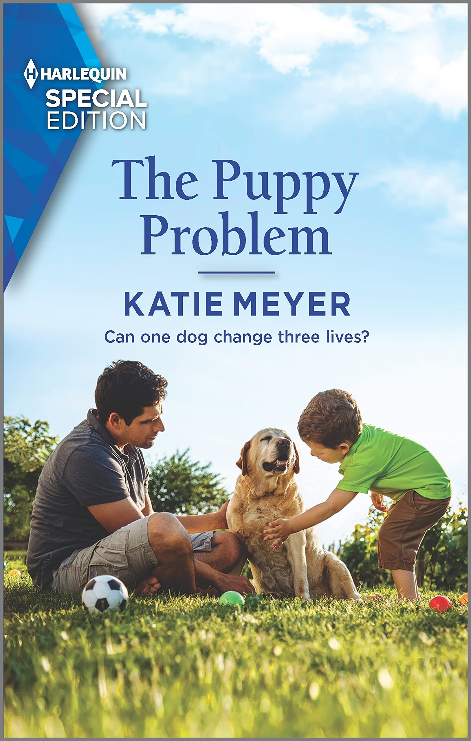 The Puppy Problem (Paradise Pets Book 1) by Katie Meyer | Goodreads